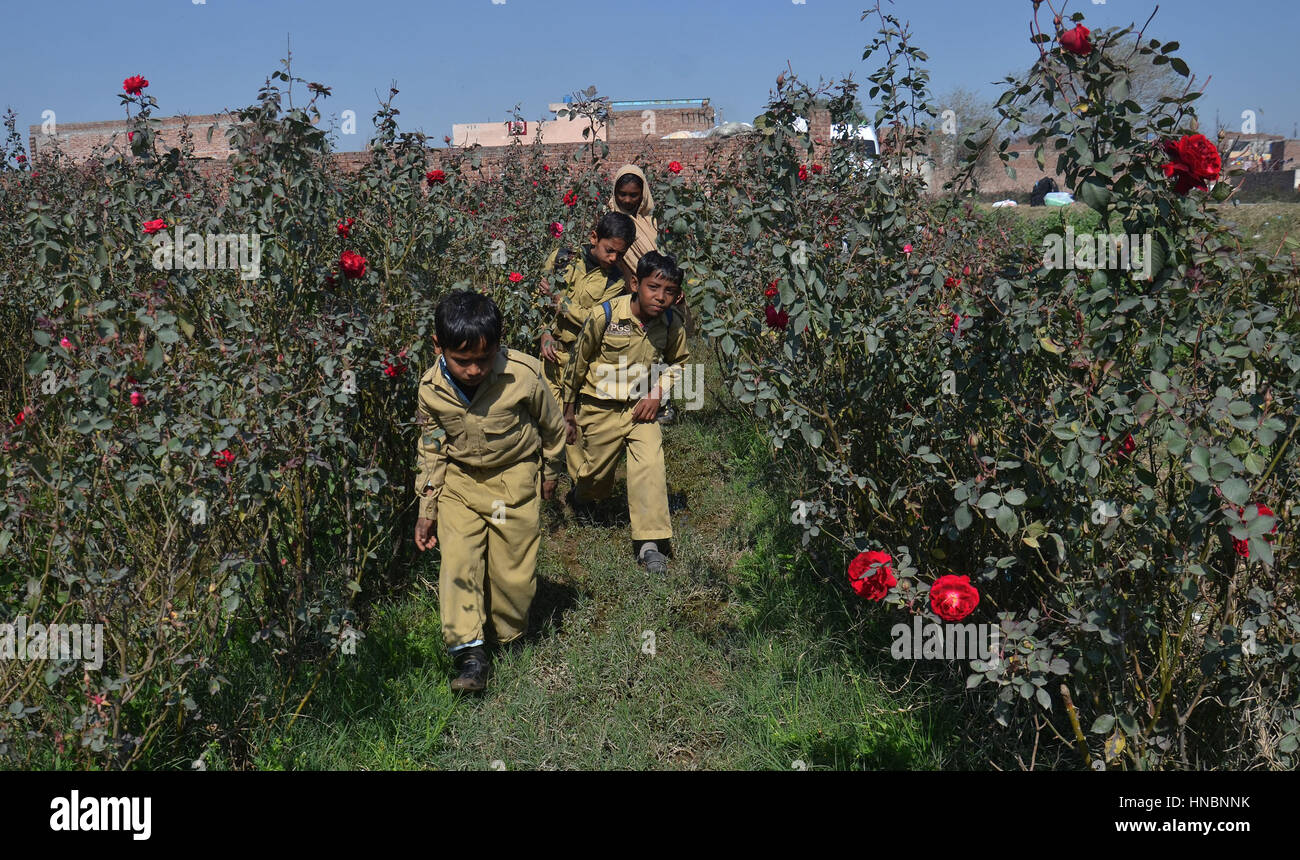 Lahore, Pakistan. 10th Feb, 2017. Pakistani laborers working in red ...