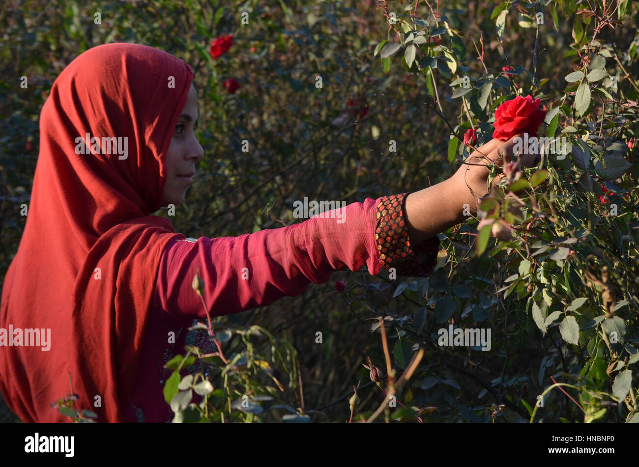 Lahore, Pakistan. 10th Feb, 2017. Pakistani laborers working in red ...