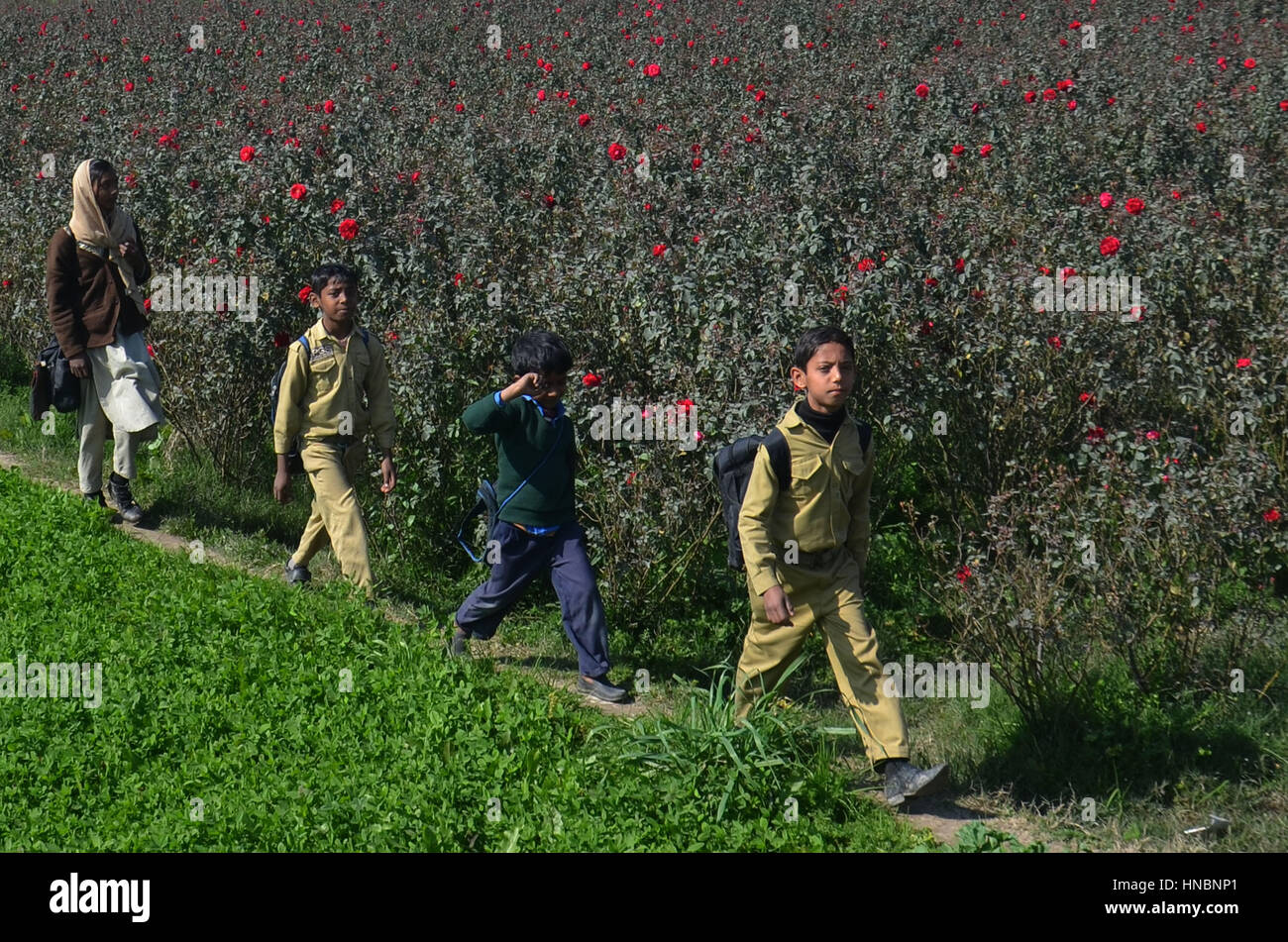 Lahore, Pakistan. 10th Feb, 2017. Pakistani laborers working in red ...