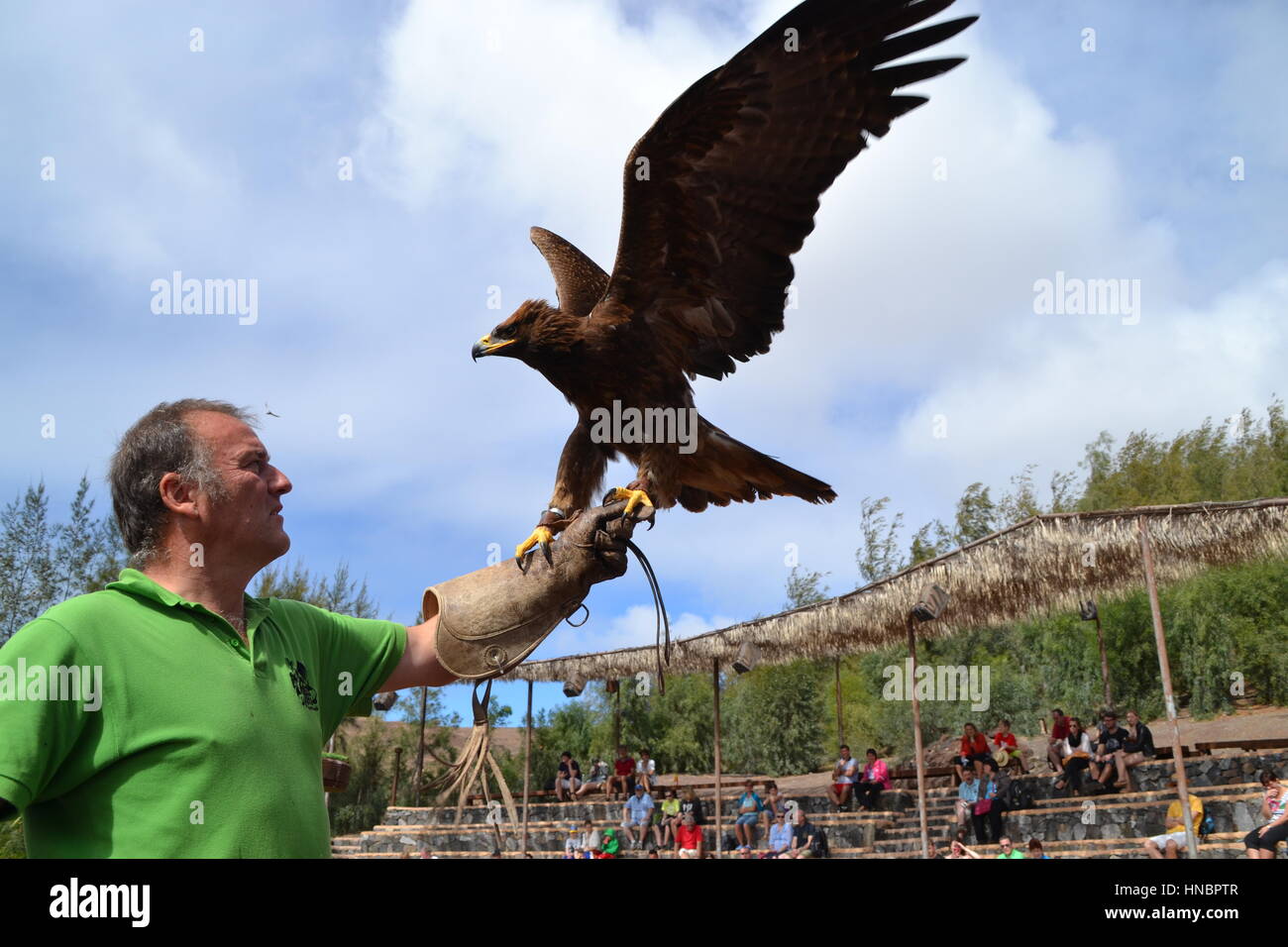 Bird of prey is characterized by keen vision to detect its prey during ...