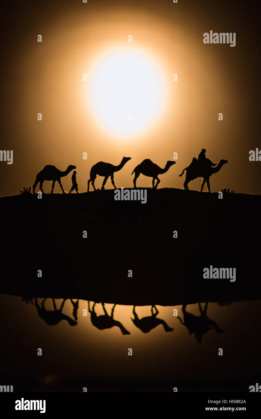 silhouette camel with sunset Stock Photo - Alamy