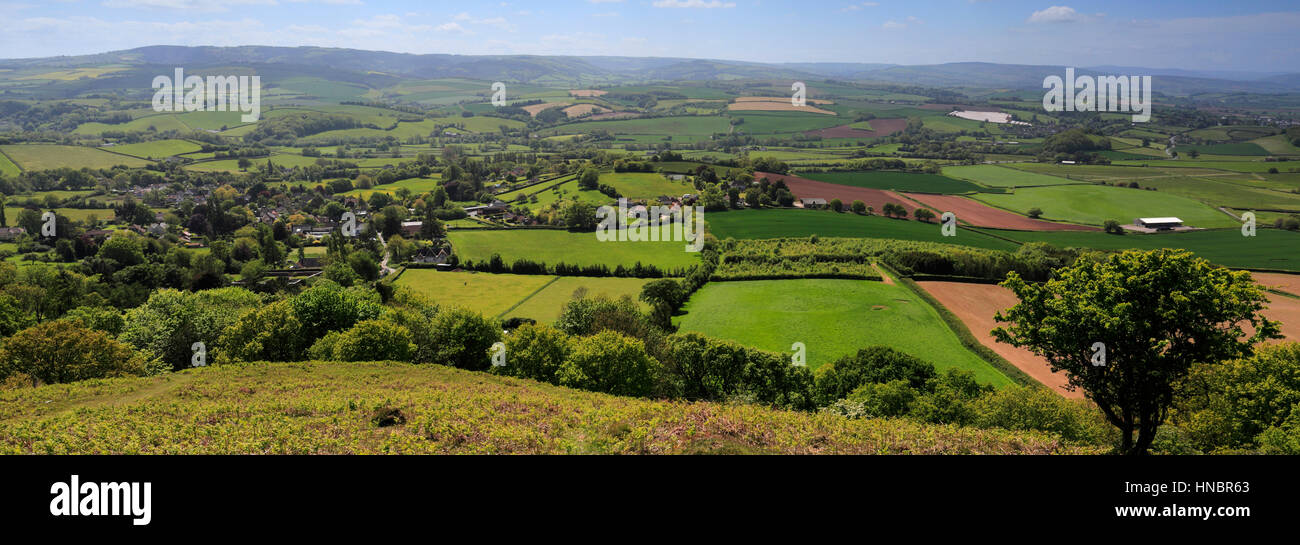 Quantocks hills hi-res stock photography and images - Alamy