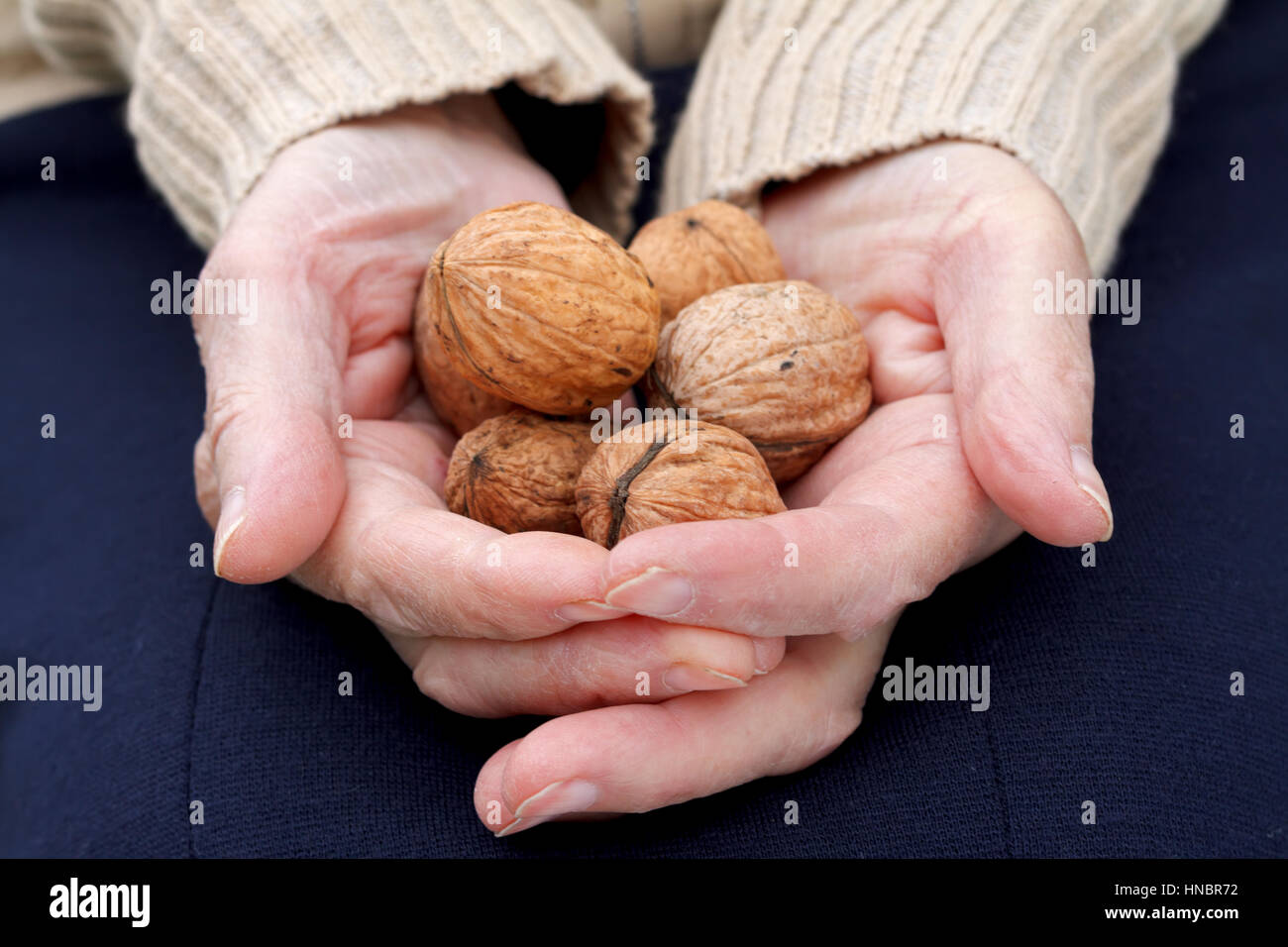 Close up of an elderly hand holding walnuts Stock Photo - Alamy