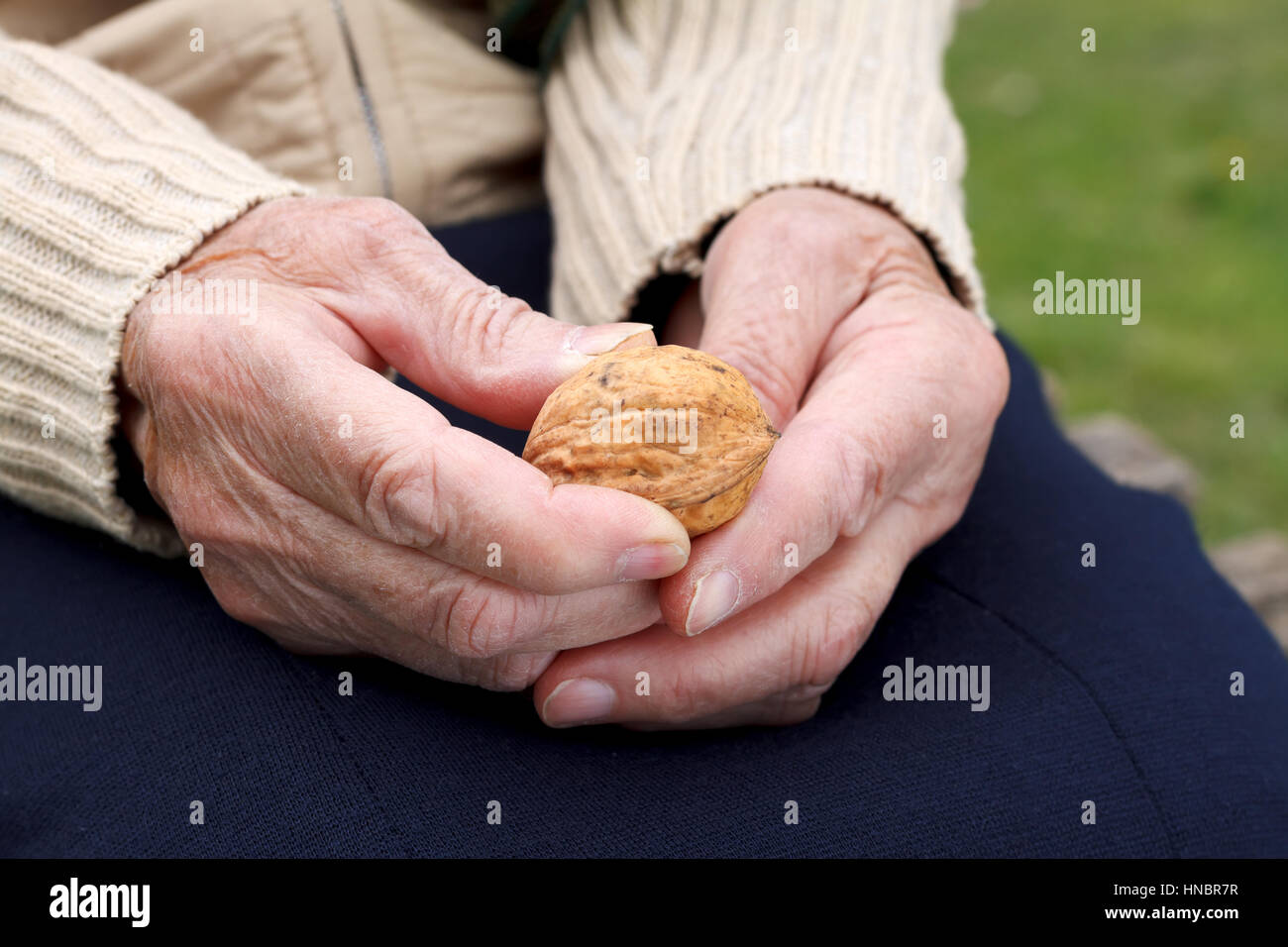 Woman holding tasty walnuts hi-res stock photography and images - Alamy