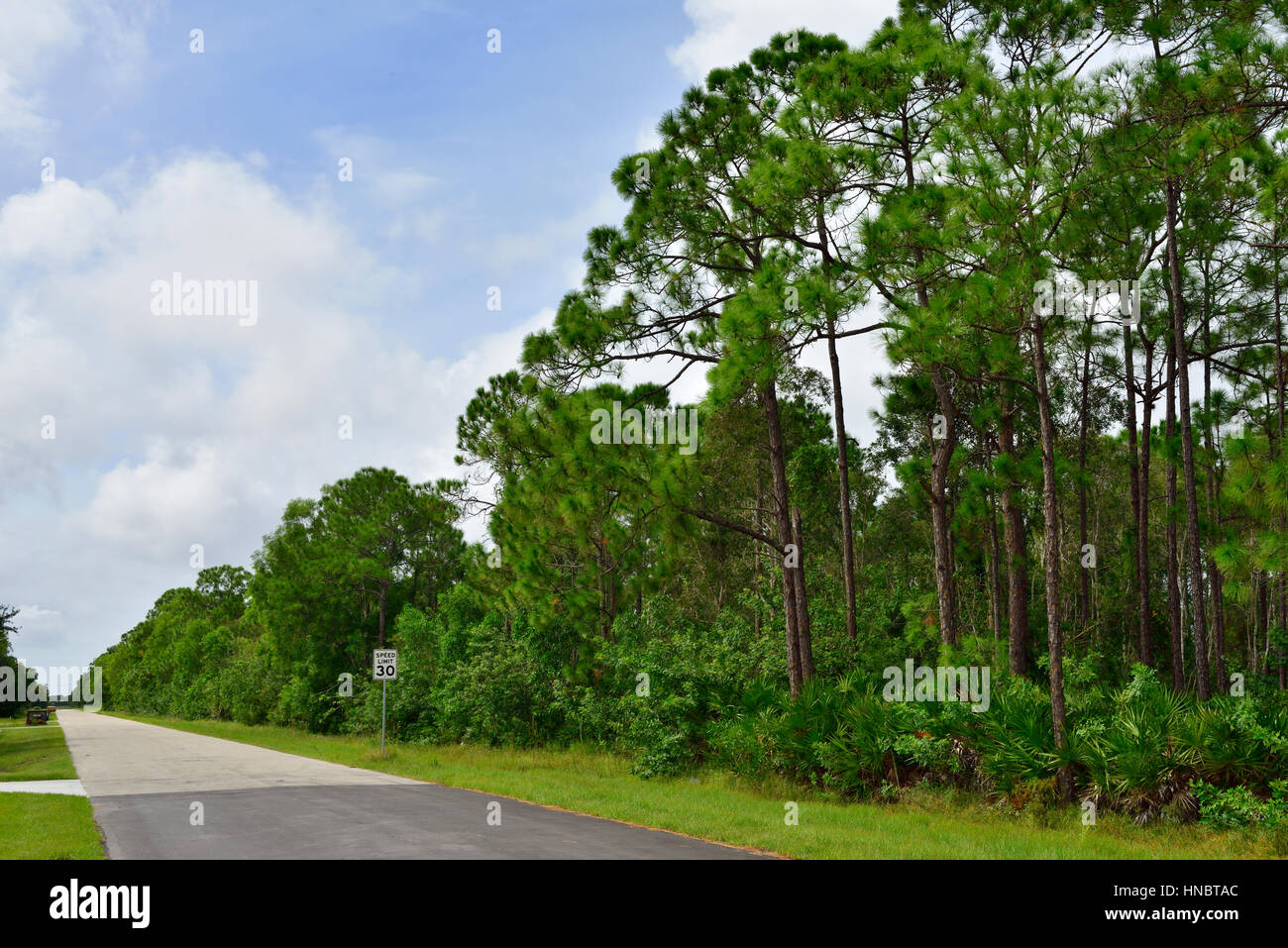 Long straight road through suburban countryside, Cape Coral, Florida ...