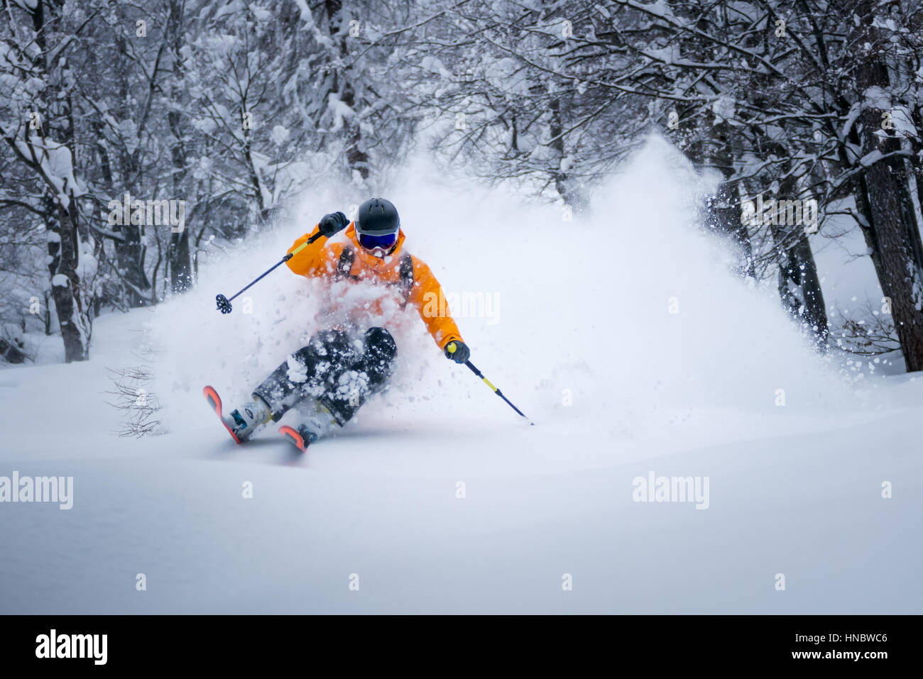 Male Skier skiing in deep powder snow, Gosau, Gmunden, Austria Stock ...