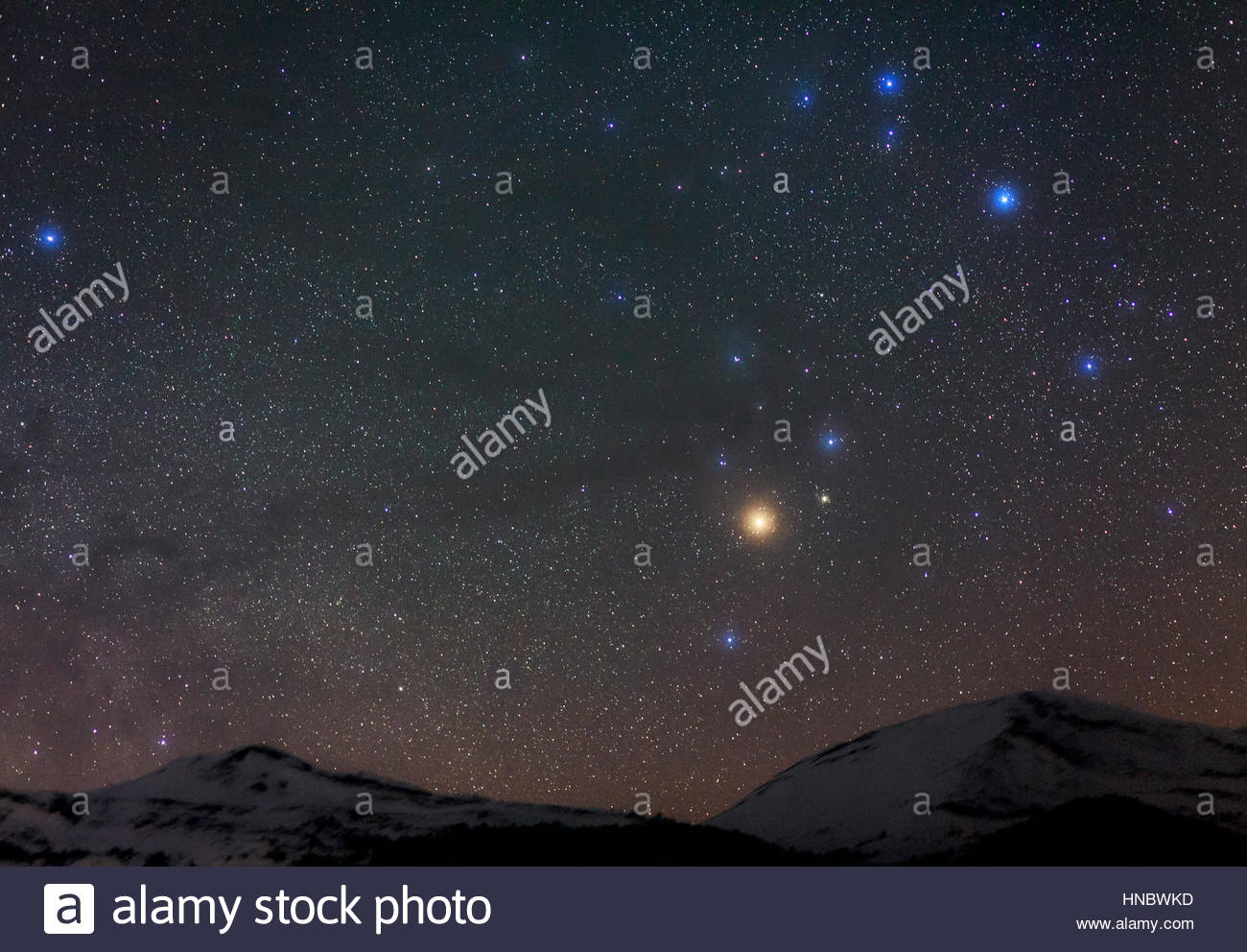 Scorpius Constellation Stock Photos & Scorpius Constellation Stock ...