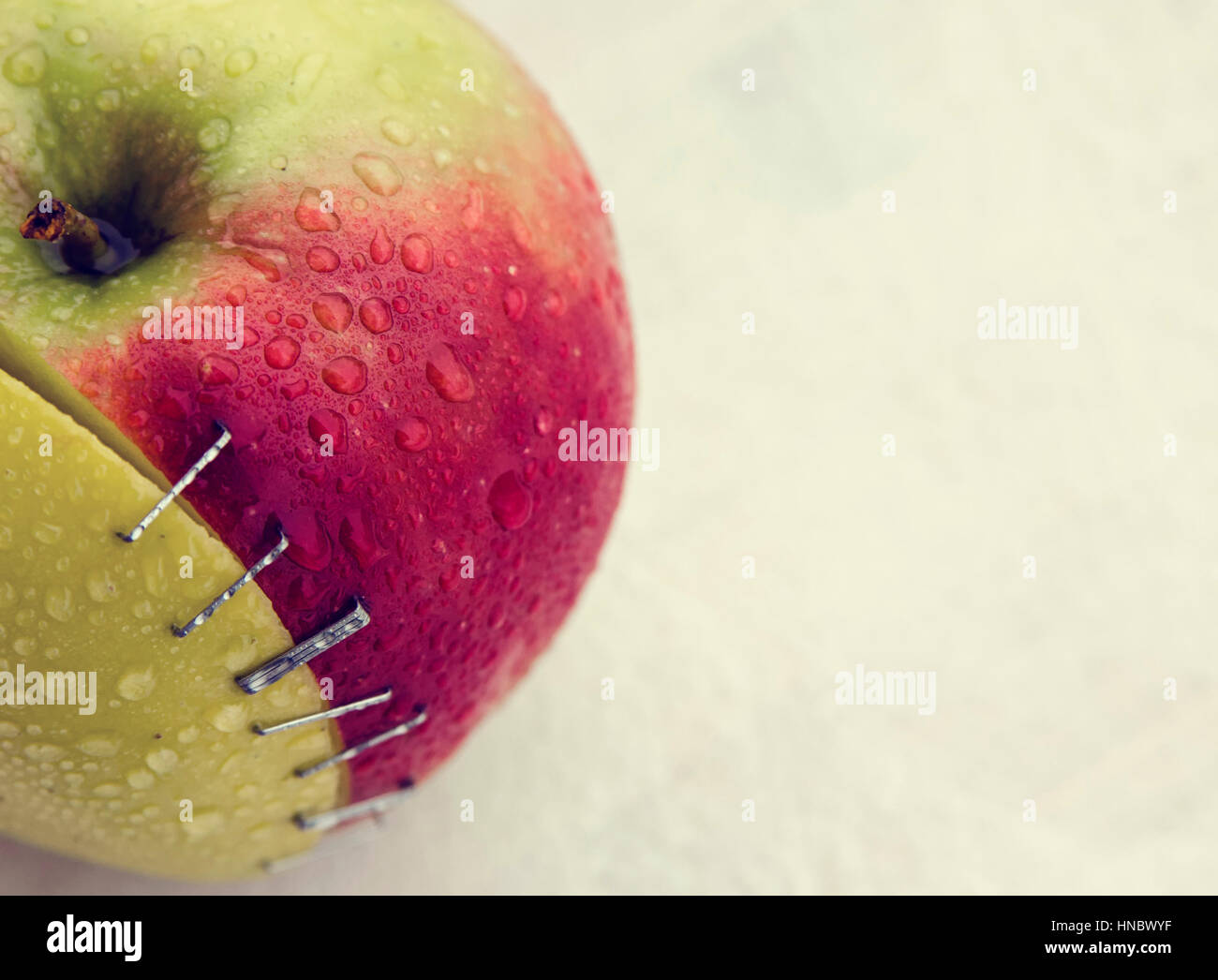 Two pieces of apple stapled together Stock Photo - Alamy