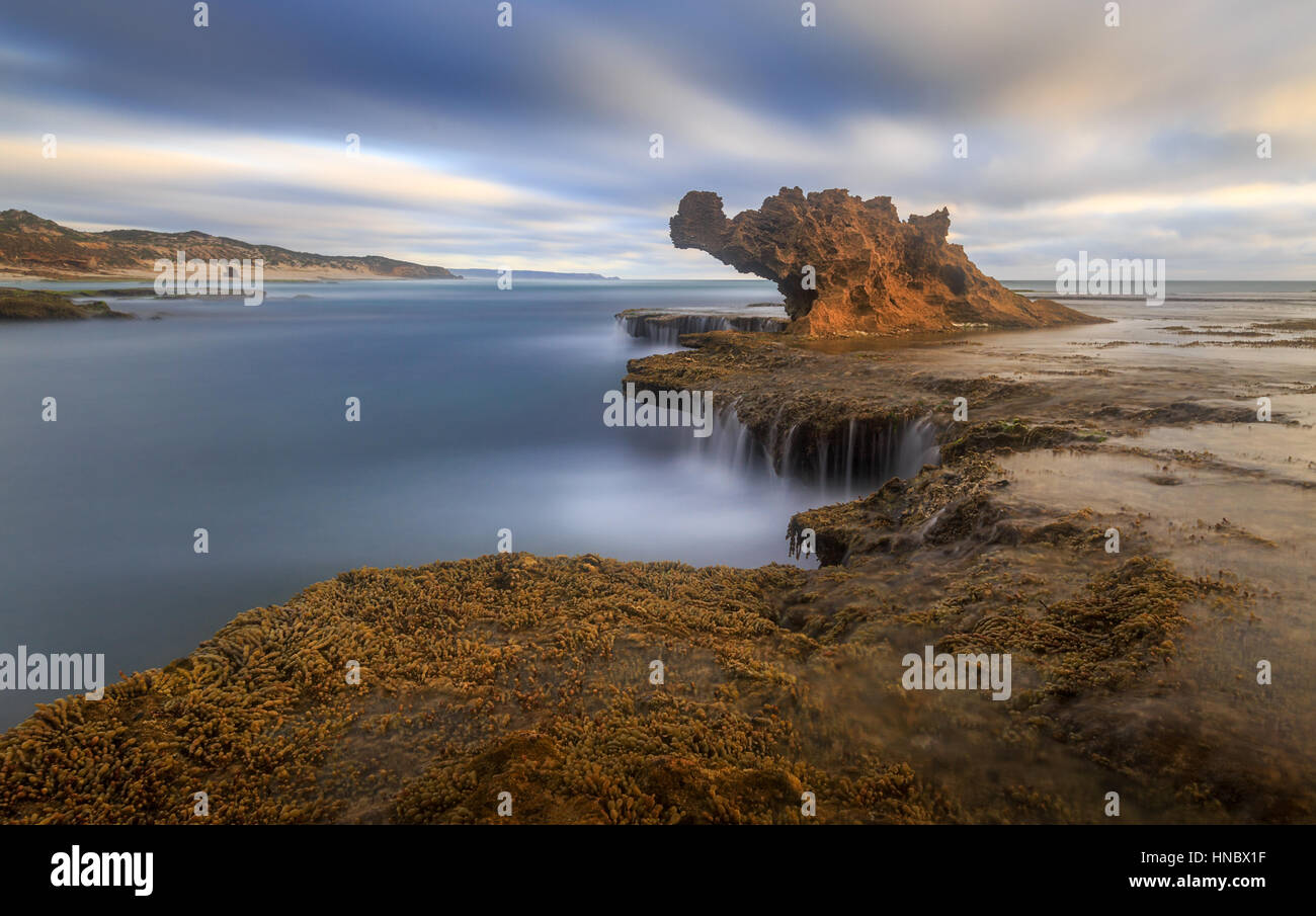 Dragon Head rock, Sixteen Beach, Rye, Victoria, Australia Stock Photo ...