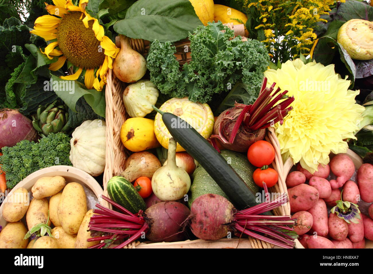 Fruit, flower and vegetable display at a traditional English ...