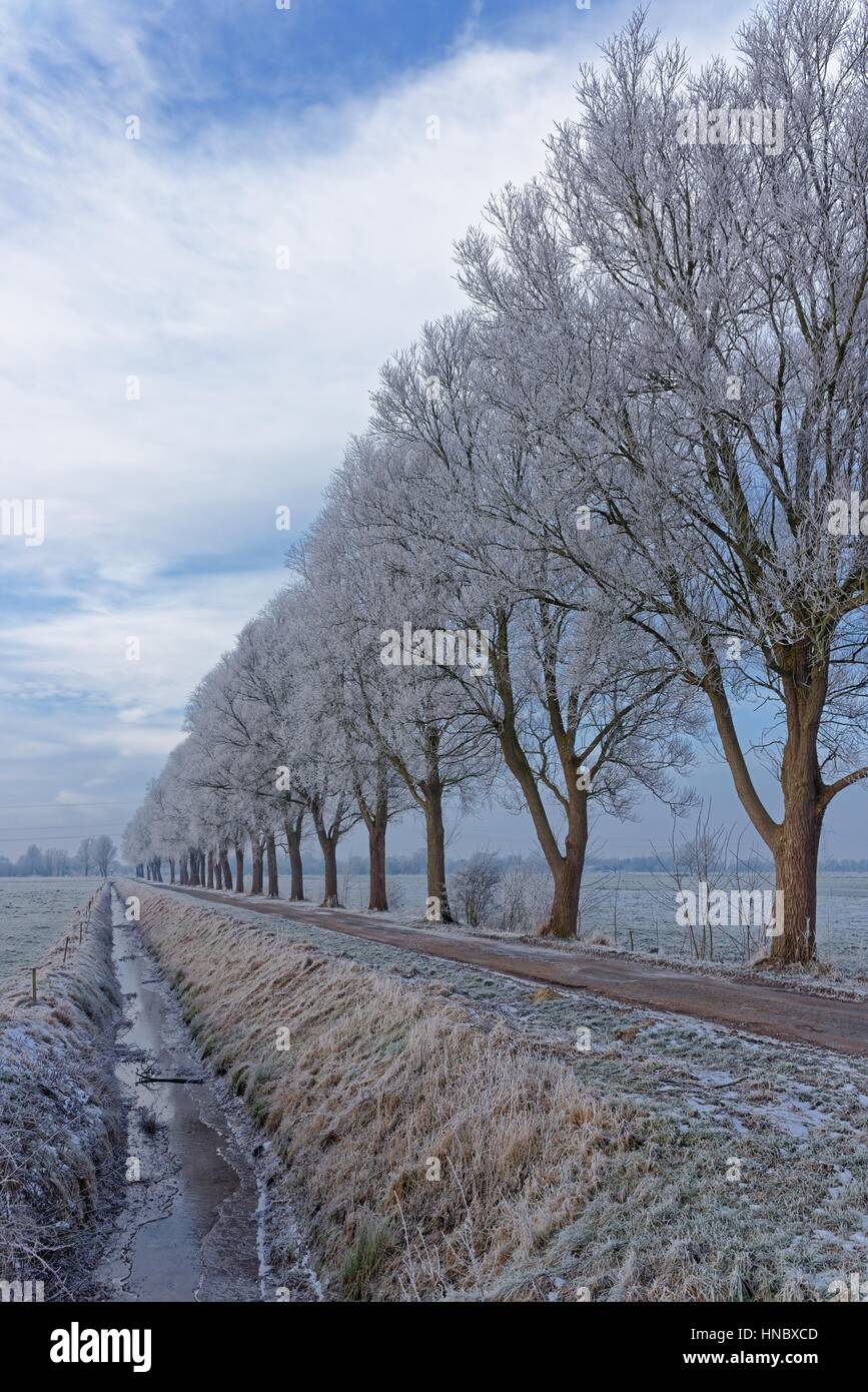 Neermoor hi-res stock photography and images - Alamy