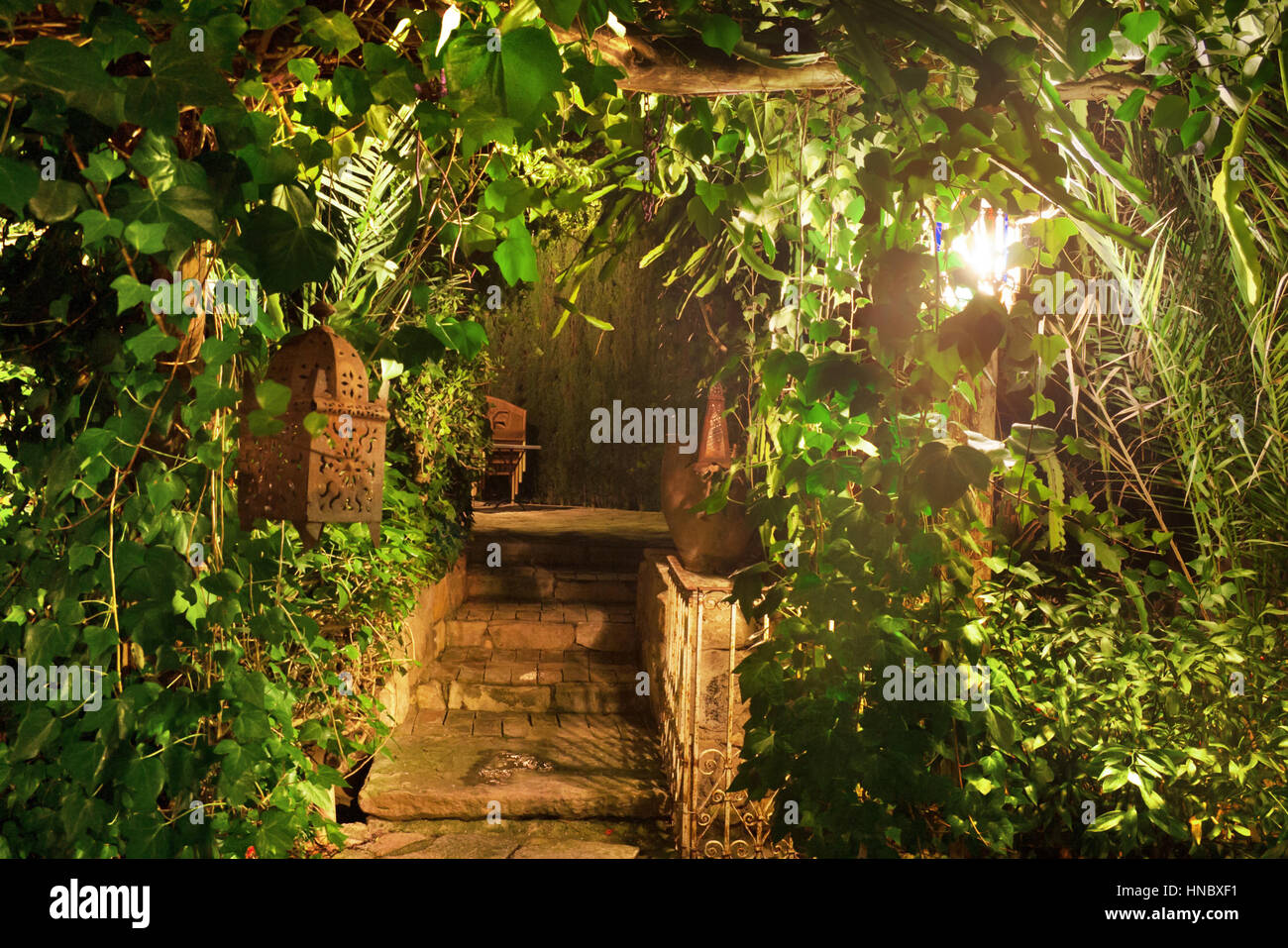 Garden night lights flower hi-res stock photography and images - Alamy
