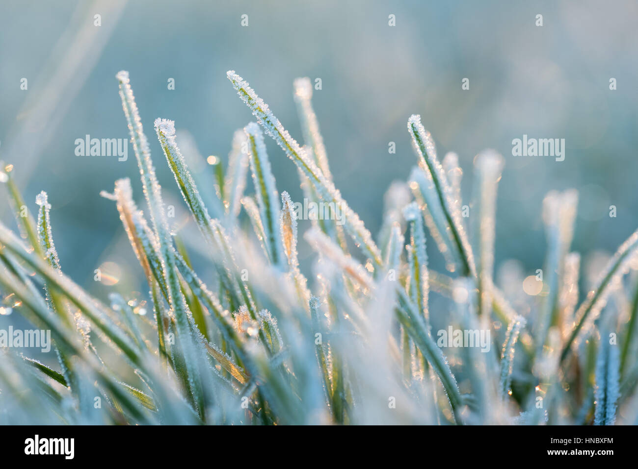 Outdoors rime ice hi-res stock photography and images - Alamy