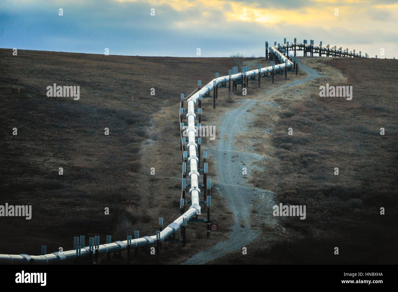 Trans alaska hi-res stock photography and images - Alamy