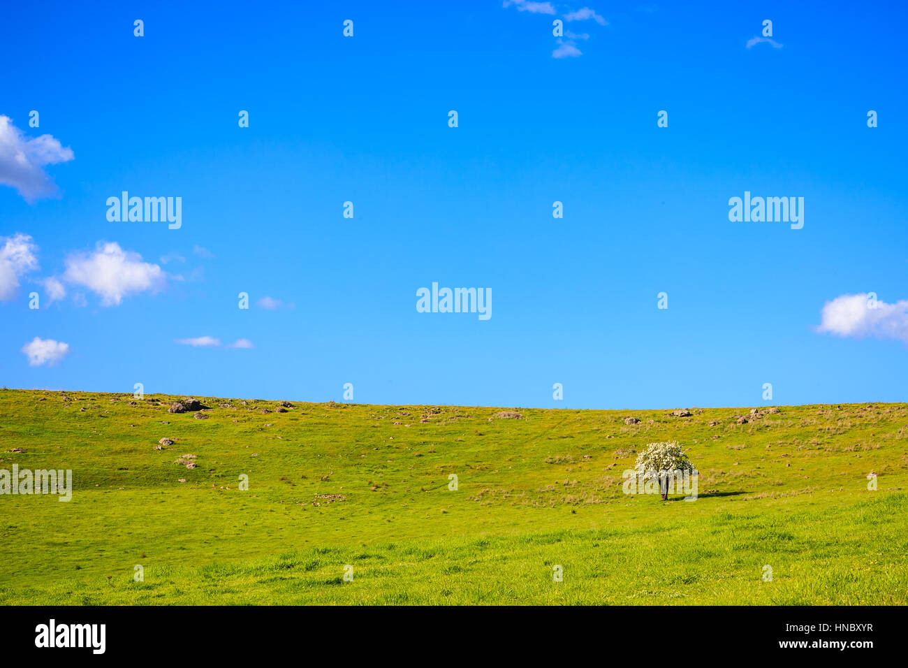 Rural landscape, Guildford, Victoria, Australia Stock Photo - Alamy