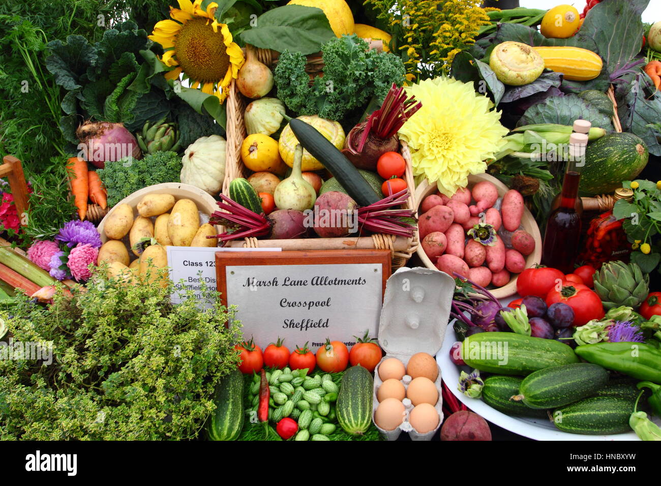 Flower Fruit And Vegetable Photos 23+ Thousand Mix Flowers Fruit