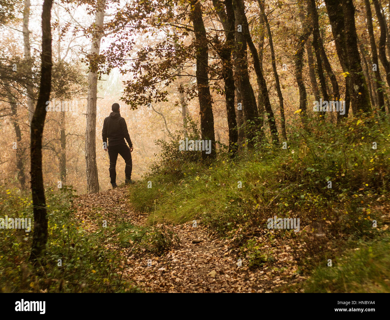 Man standing in the forest, Spain Stock Photo - Alamy