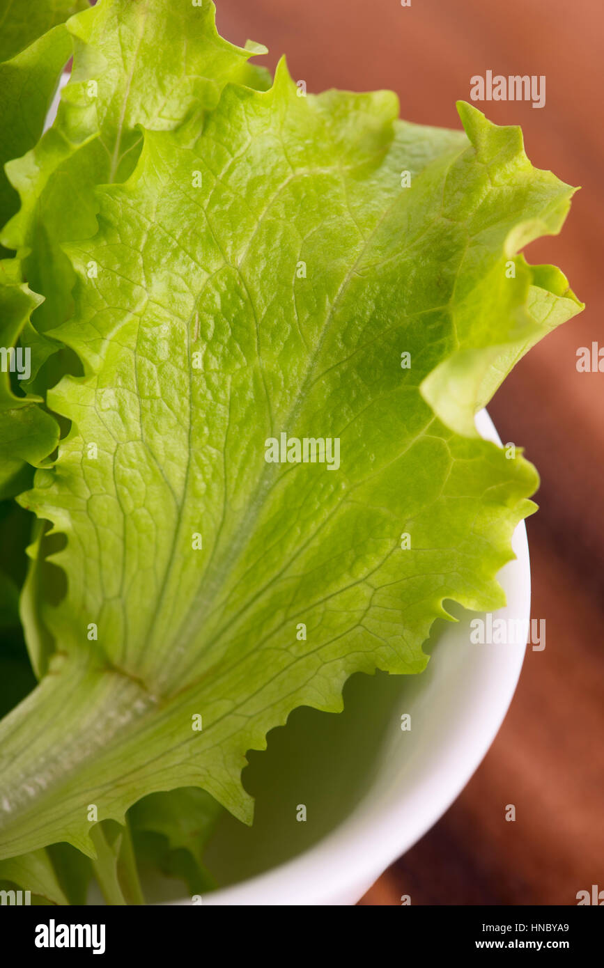 green curly salad - healthy italian food Stock Photo - Alamy