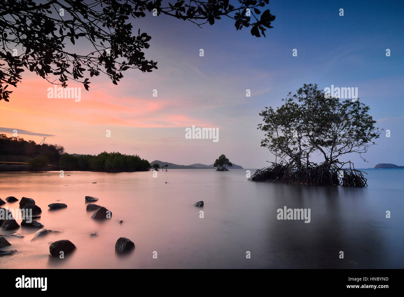 Mangroves at sunset, Sekotong, Lombok Island, Indonesia Stock Photo - Alamy