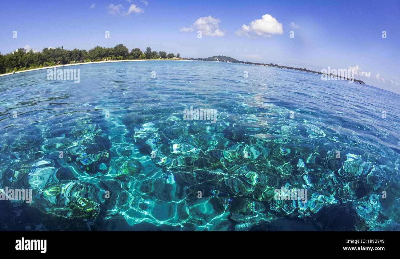 Coral reef, Gili Islands, Indonesia Stock Photo - Alamy