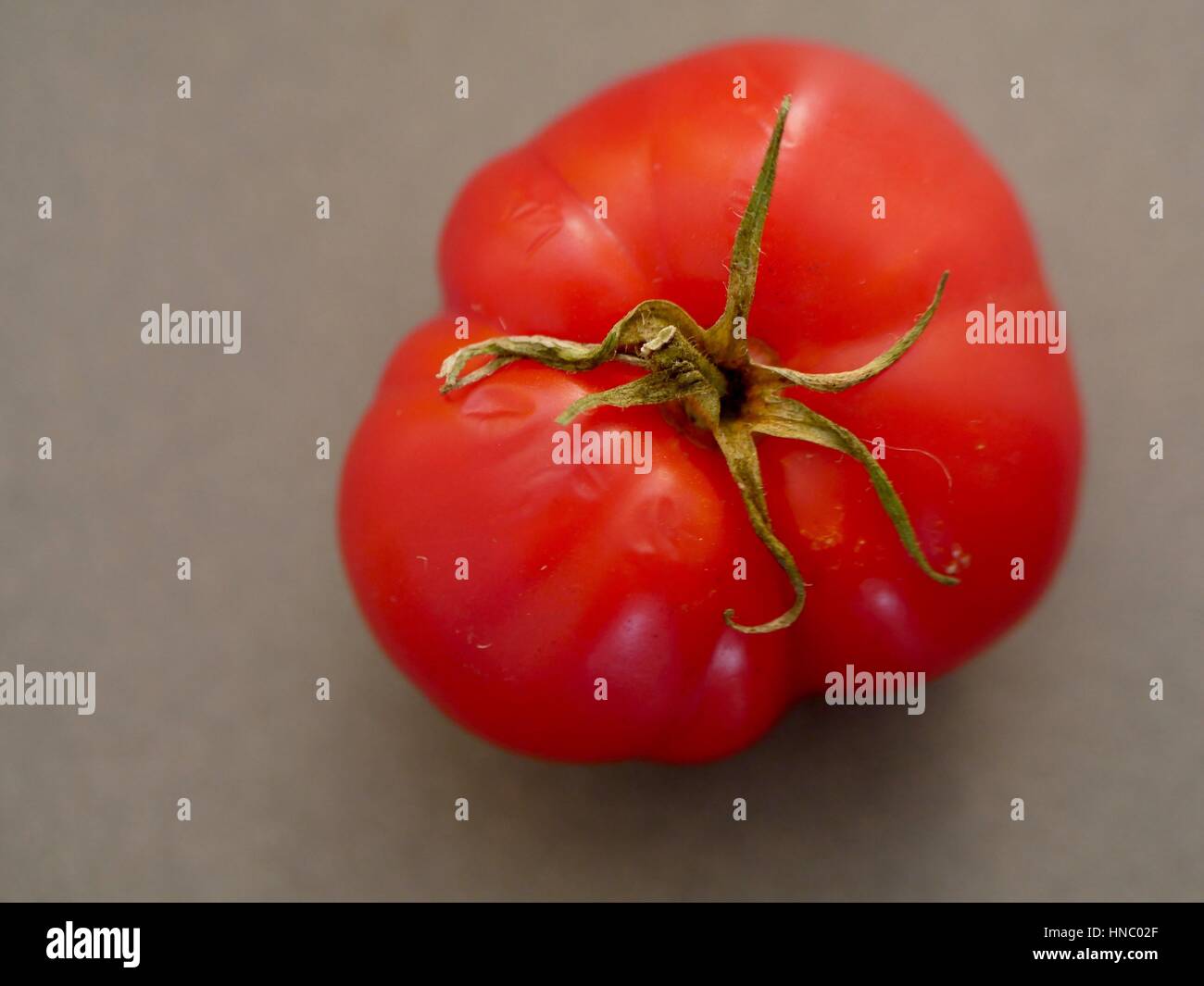close up one large shiny red organic tomato, top view with stem, gray ...