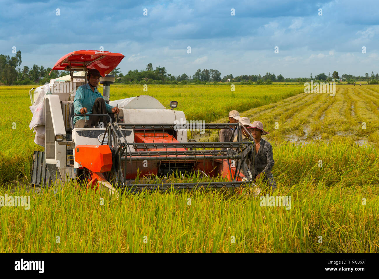 Paddy Harvester Machine