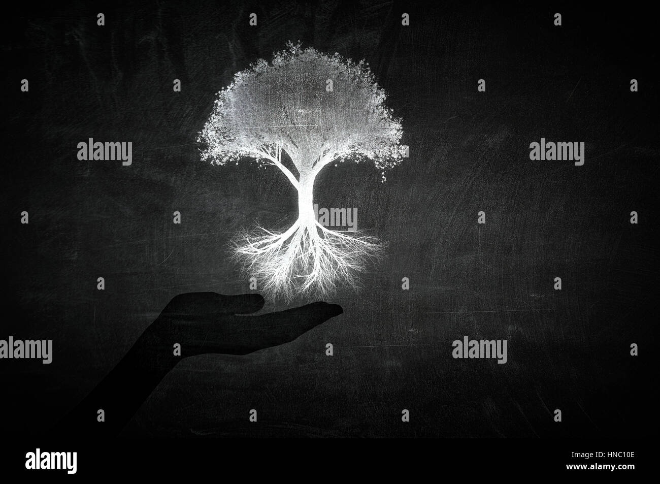 Hand holding tree shadow sign on concrete background Stock Photo - Alamy