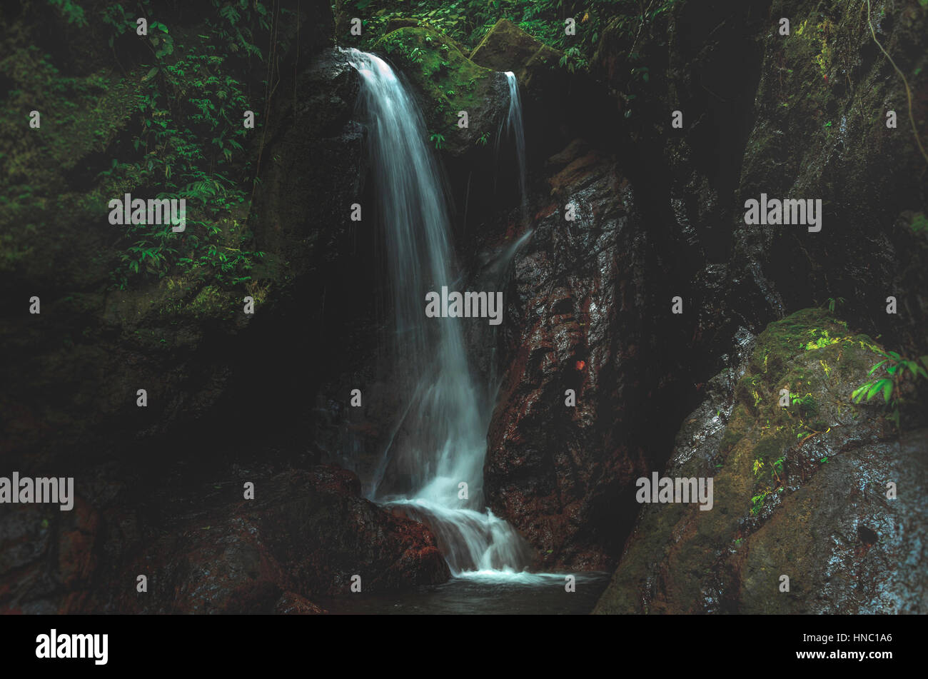 Lush waterfall in thick nicaraguan rainforest Stock Photo - Alamy