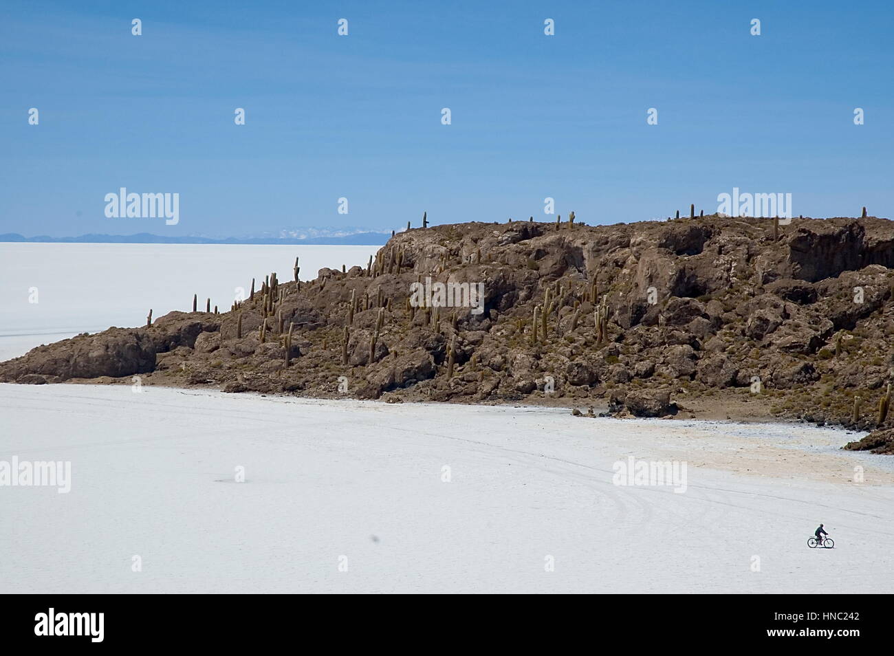Salar de uyuni la paz bolivia hi-res stock photography and images - Alamy