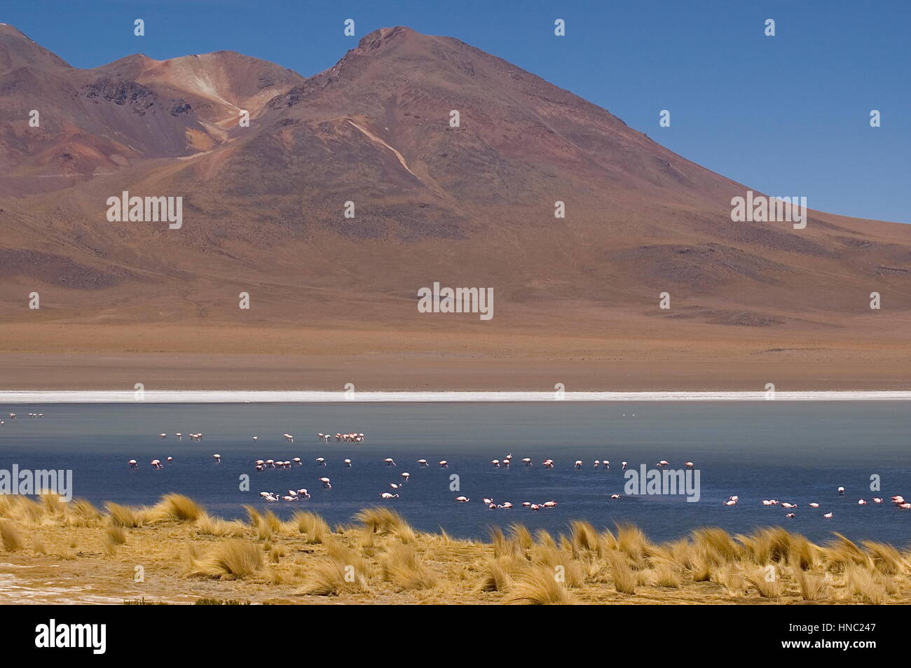 Landscapes in Bolivia Stock Photo - Alamy