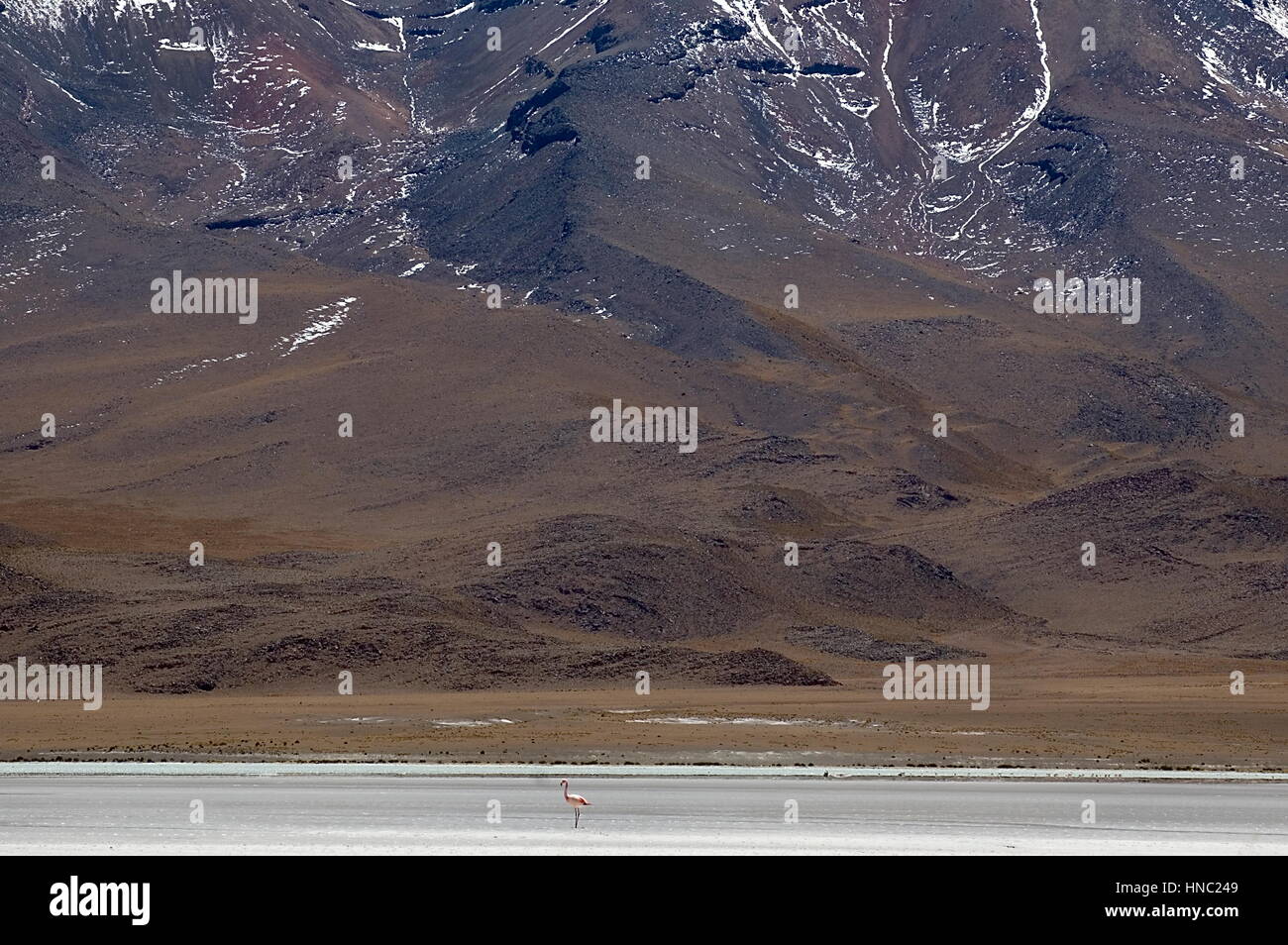 Bolivia la paz salt flats hi-res stock photography and images - Alamy