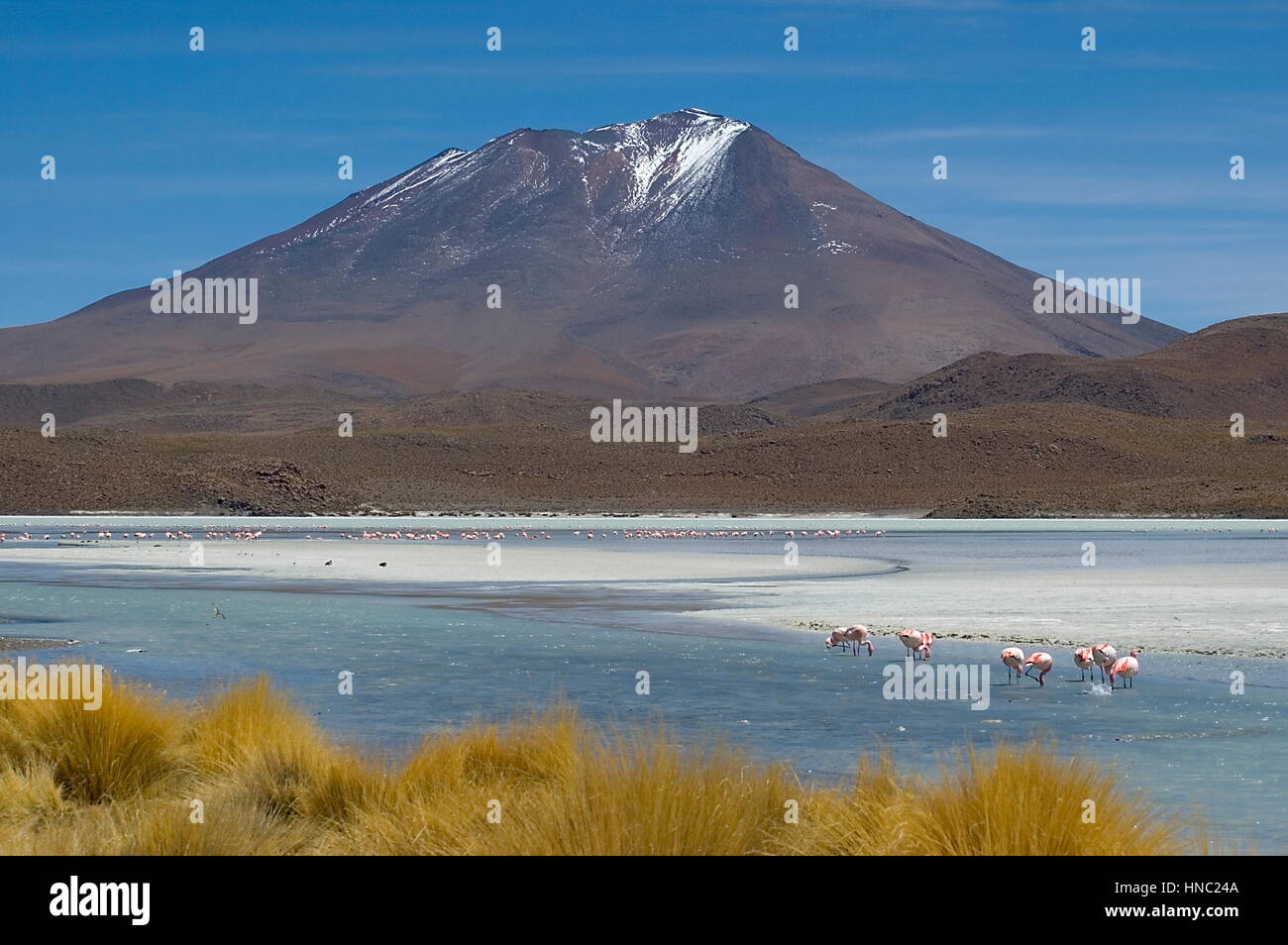Landscapes in Bolivia Stock Photo - Alamy
