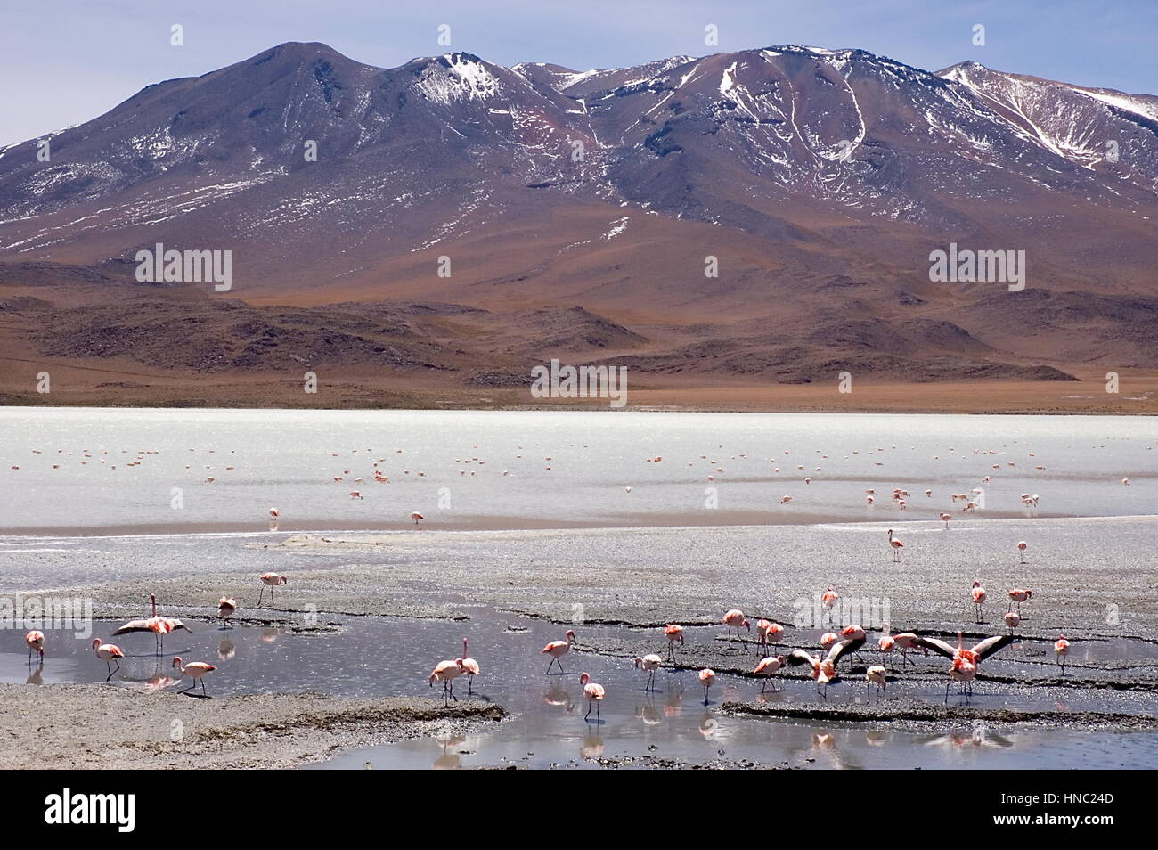 Landscapes in Bolivia Stock Photo - Alamy