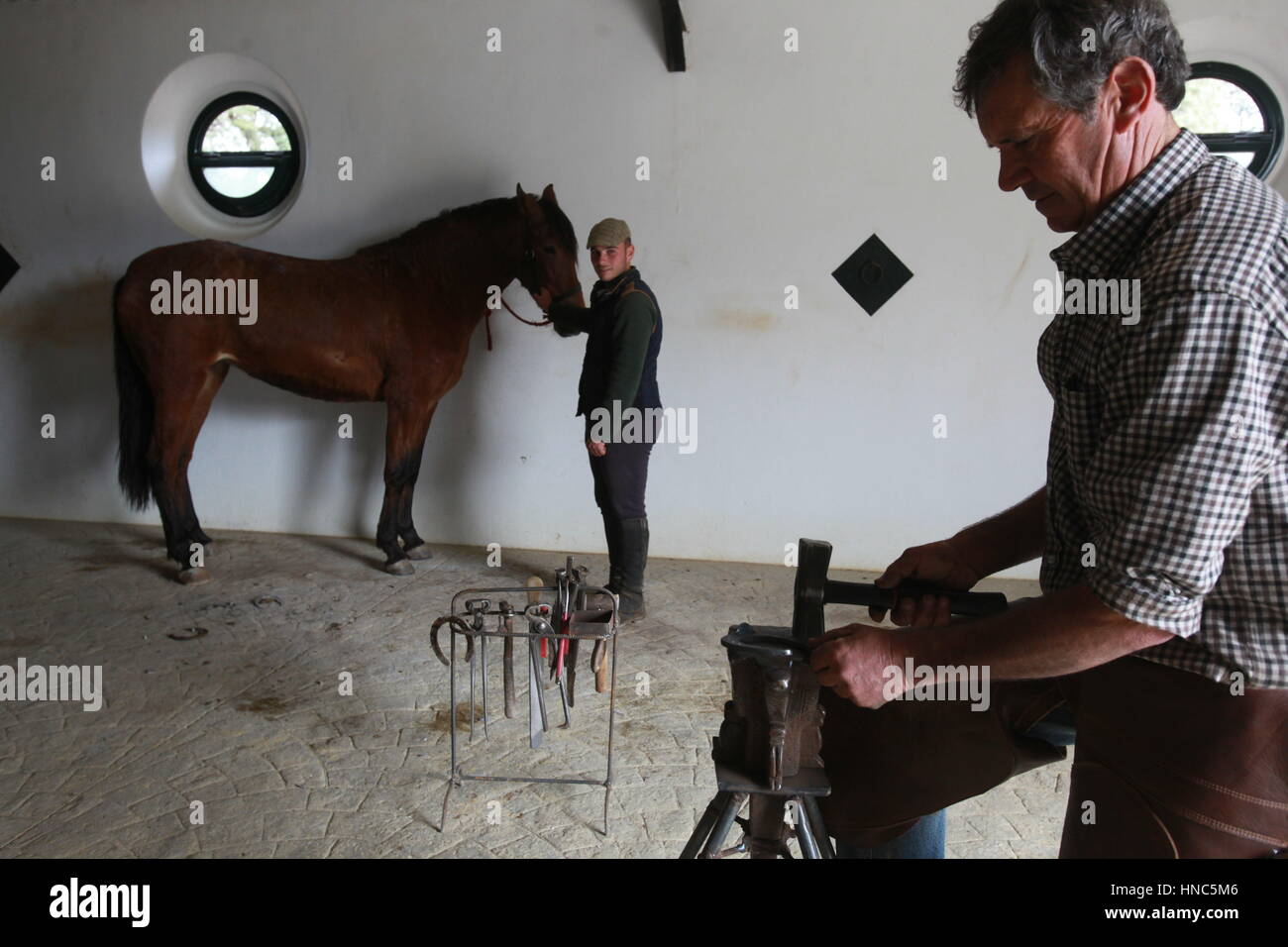 The farrier is the person in charge of ironing the horses, mules and ...