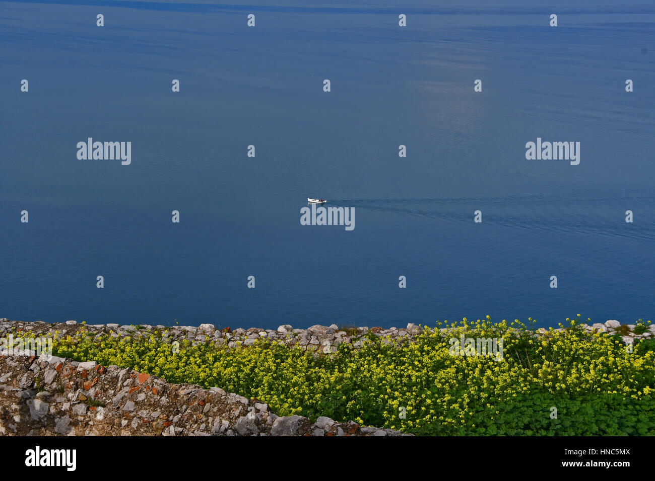 Nafplio, Greece. 11th February 2017. Greece Peloponnese Blooming ...