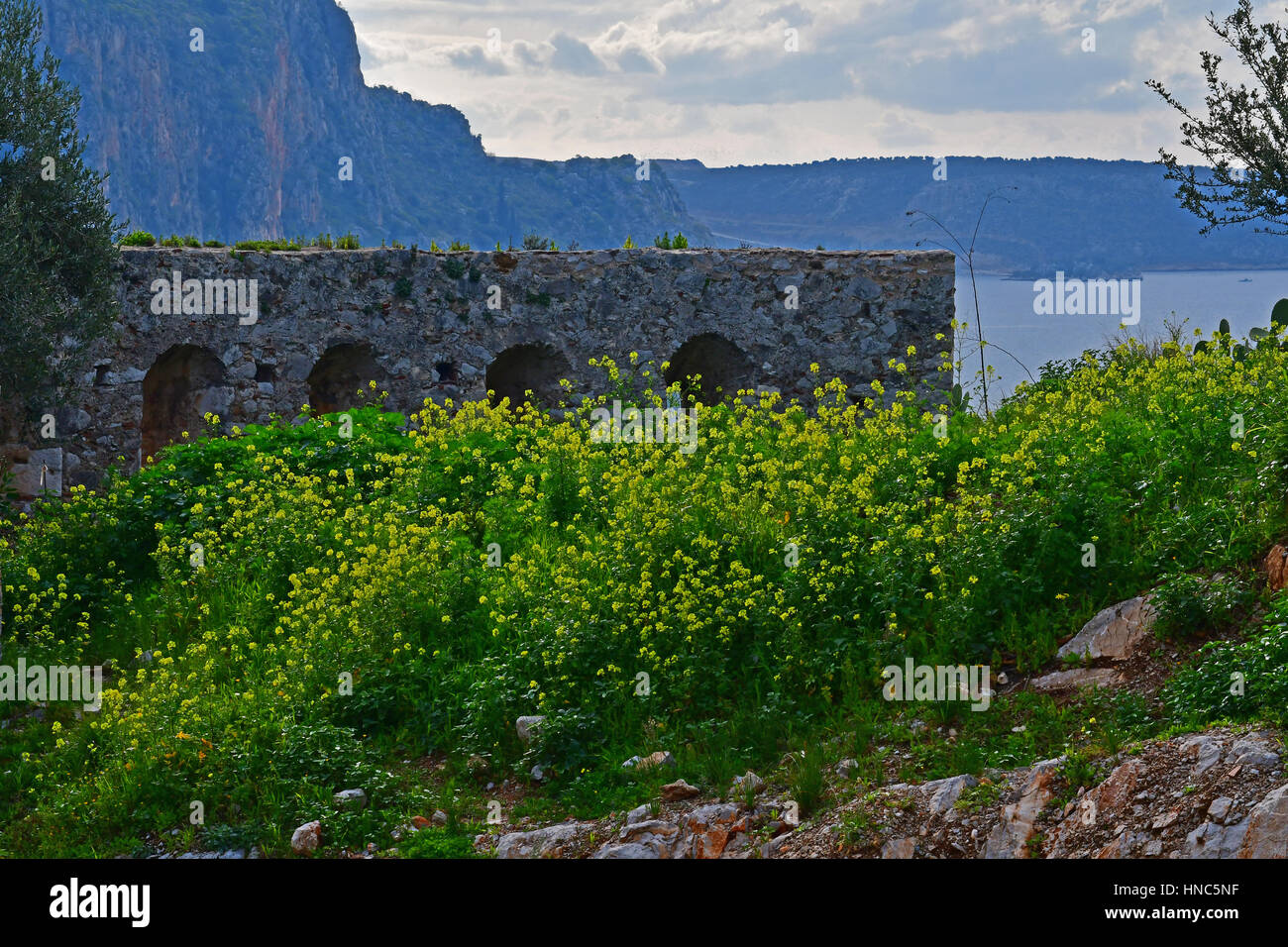 Nafplio, Greece. 11th February 2017. Greece Peloponnese Blooming ...