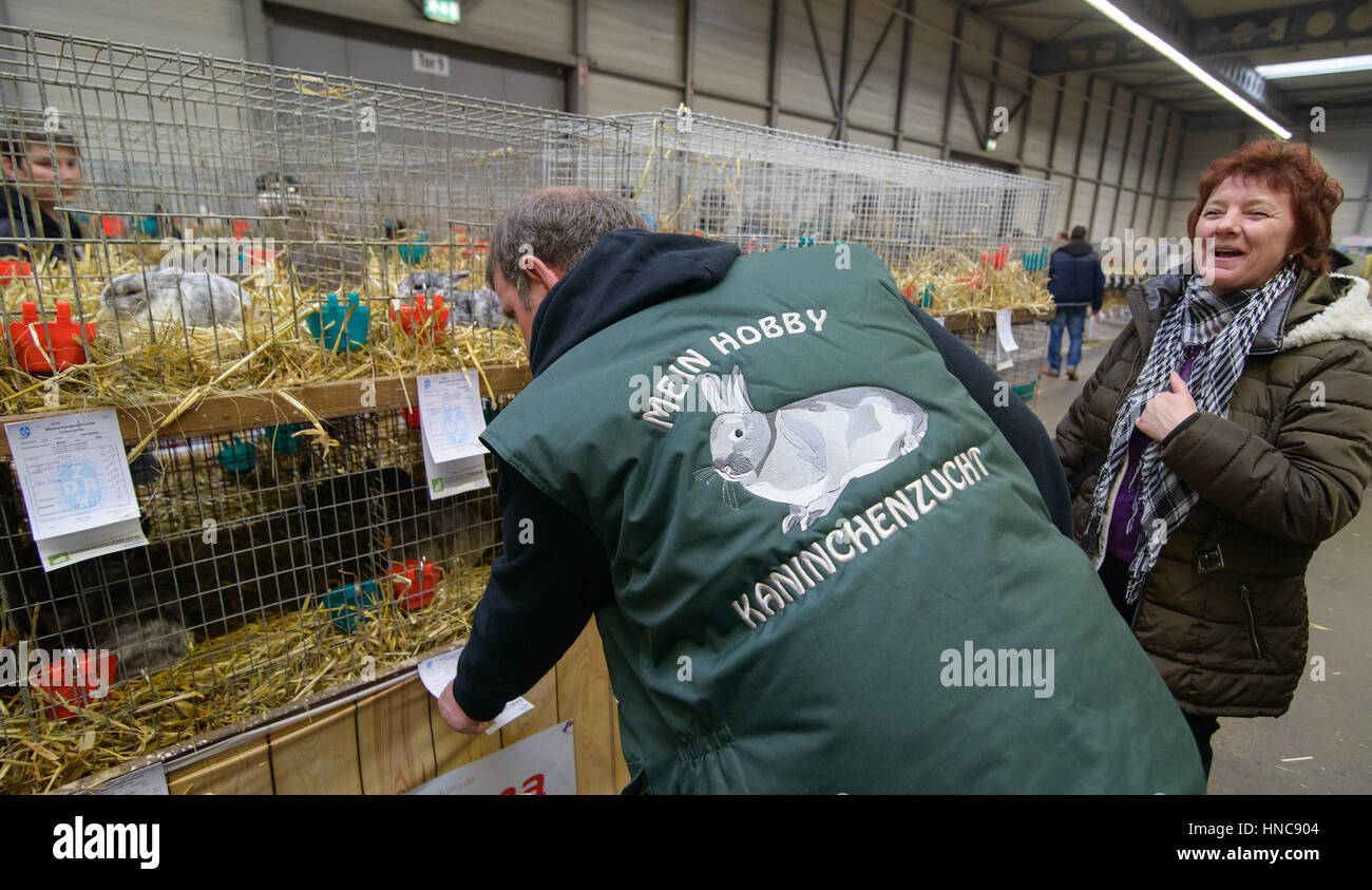 Rabbits in cages hi-res stock photography and images - Alamy