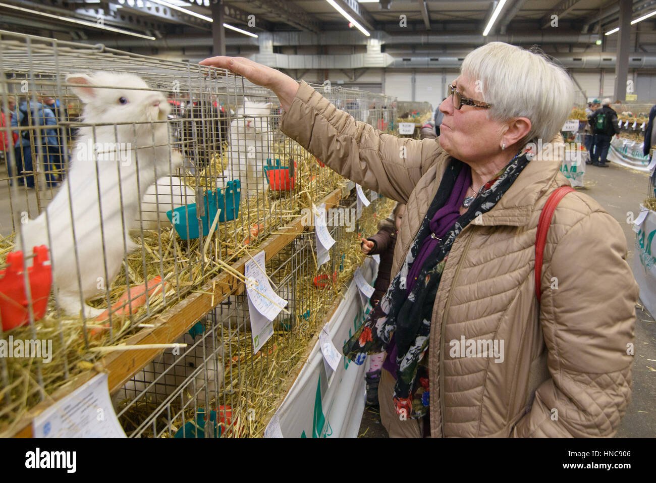 Rabbit show germany hi-res stock photography and images - Alamy