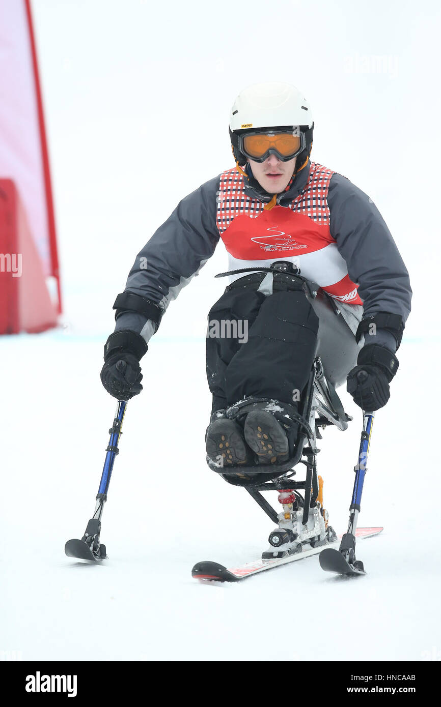 Disabled sport winter hi-res stock photography and images - Alamy