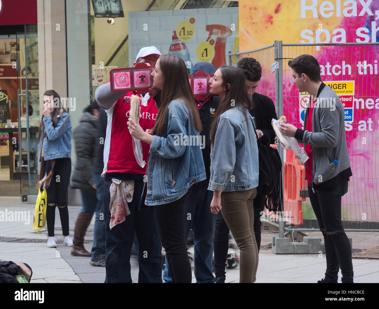 Cardiff, Wales, United Kingdom, 11th Feb, 2017. Wales fans have their ...