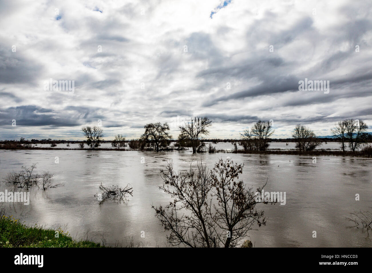 Vernalis California USA Saturday 11 February 2017 Sunny skies contrast ...