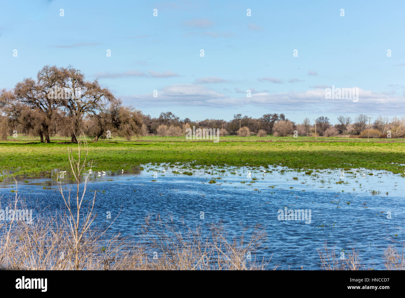 Vernalis California USA Saturday 11 February 2017 Sunny skies contrast ...