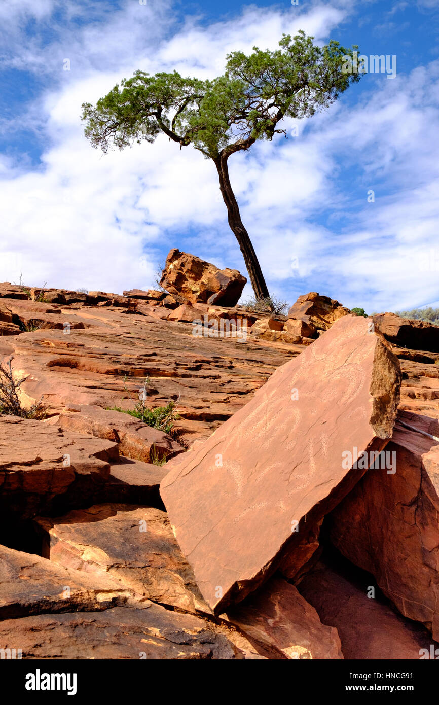 Aboriginal australian hi-res stock photography and images - Alamy