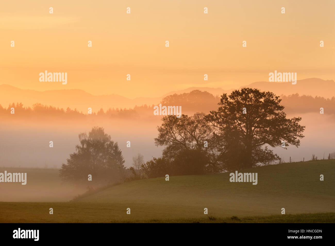 Morning atmosphere with morning fog, Bauersbach near Wielenbach ...