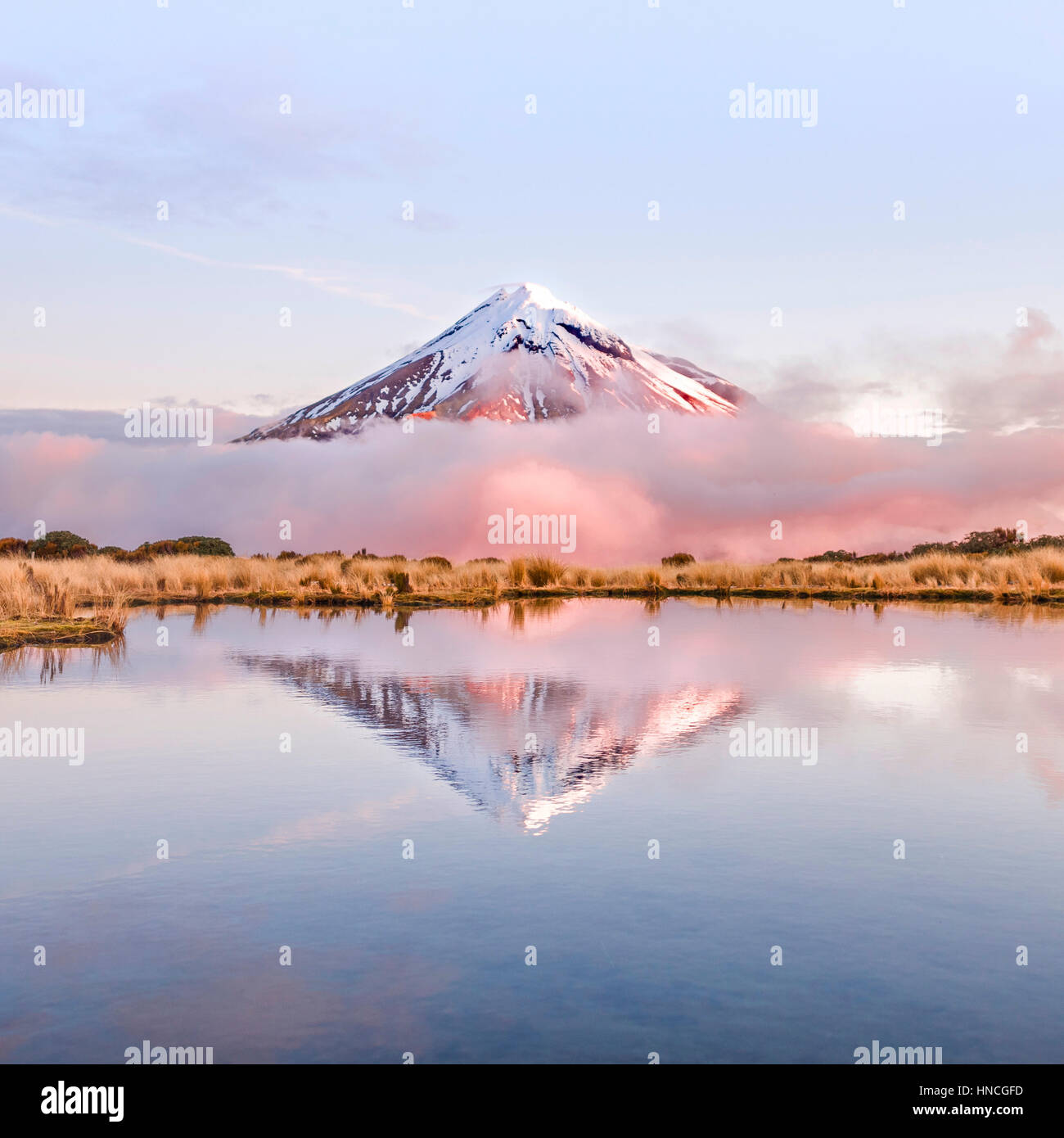 Reflection in Pouakai Tarn lake, pink clouds around stratovolcano Mount ...