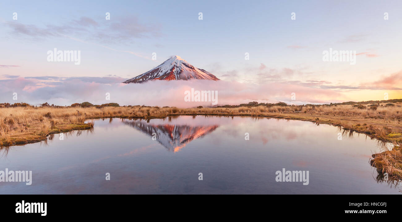 Reflection in Pouakai Tarn lake, pink clouds around stratovolcano Mount ...
