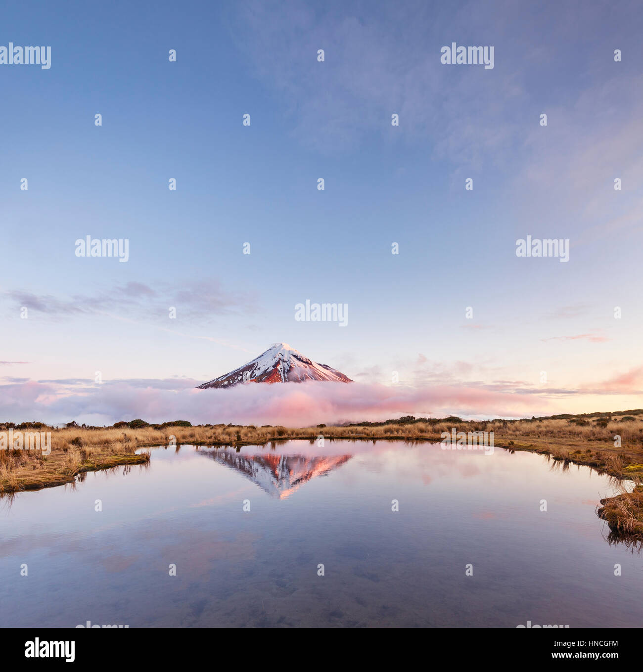 Reflection in Pouakai Tarn lake, pink clouds around stratovolcano Mount ...