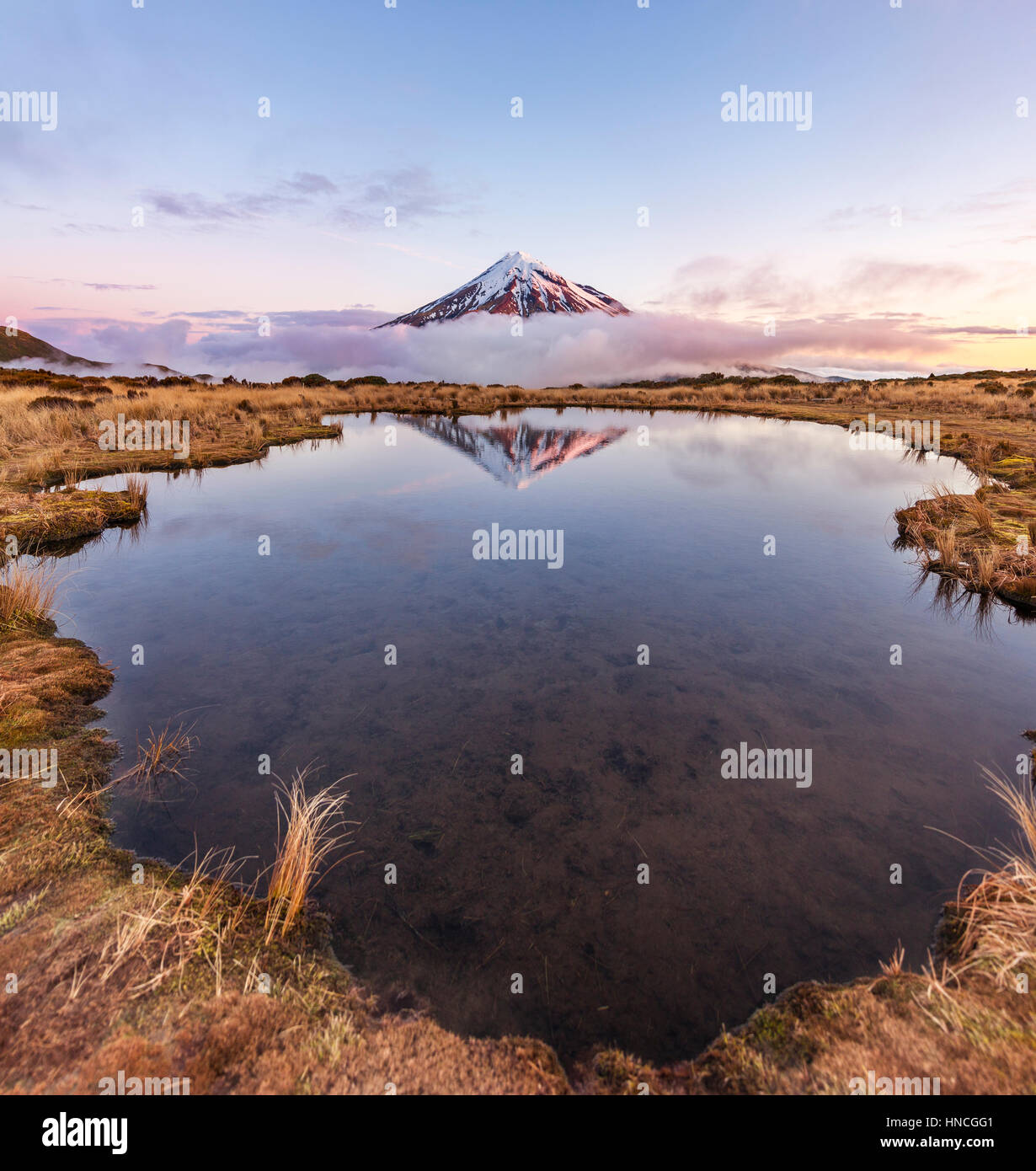 Reflection in Pouakai Tarn lake, pink clouds around stratovolcano Mount ...