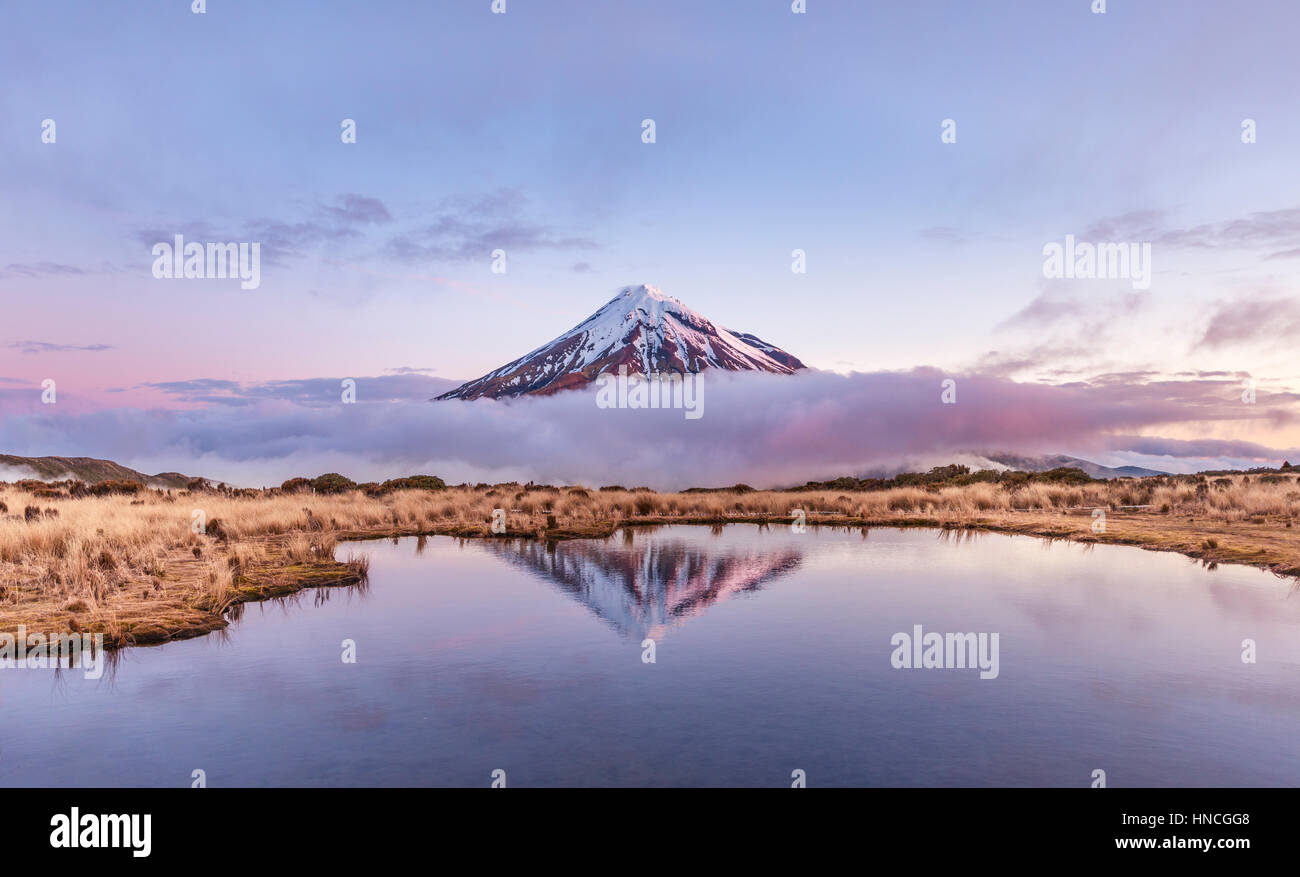 Reflection in Pouakai Tarn lake, pink clouds around stratovolcano Mount ...