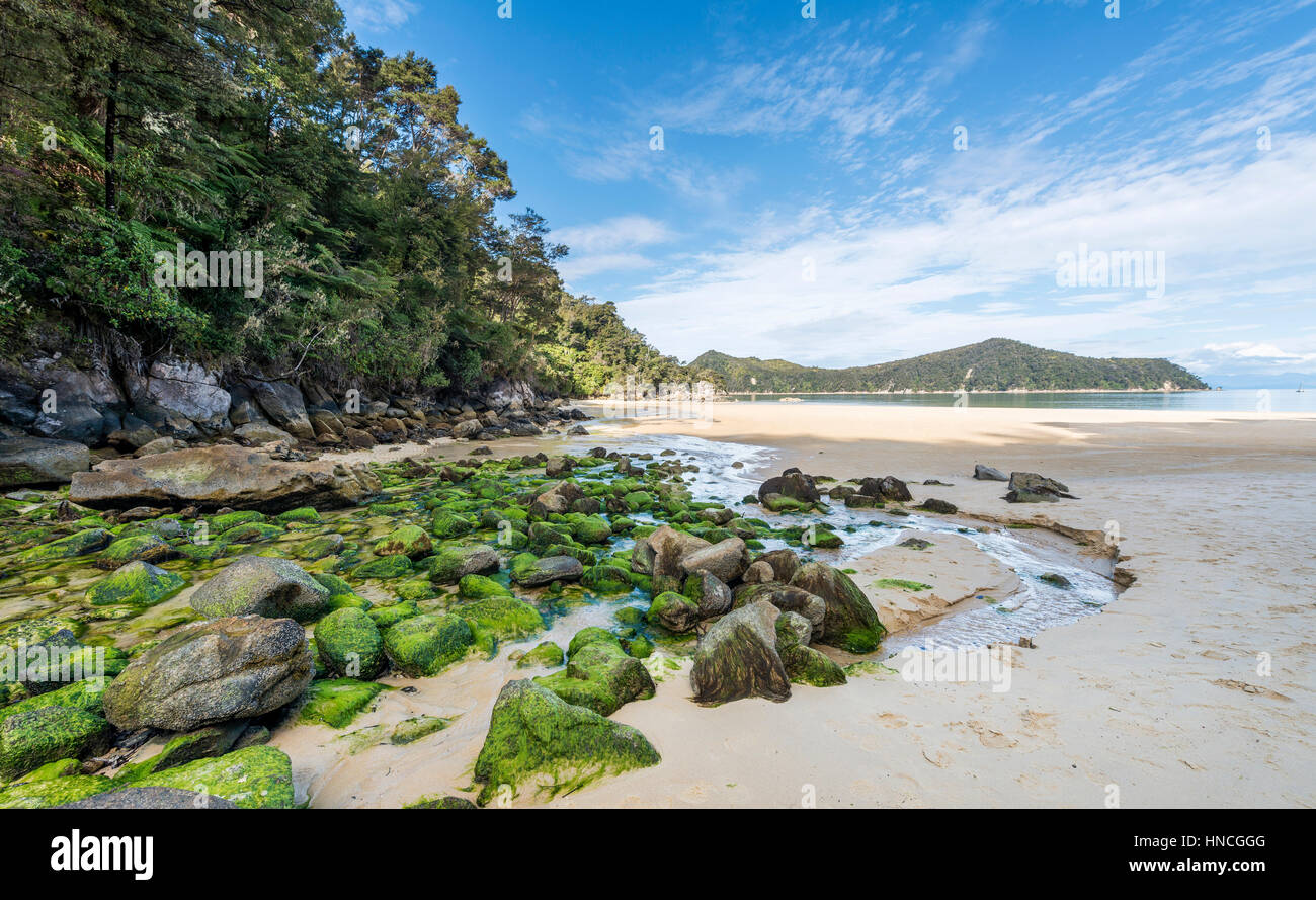 Abel Tasman National Park Stock Photos & Abel Tasman National Park Stock Images - Alamy